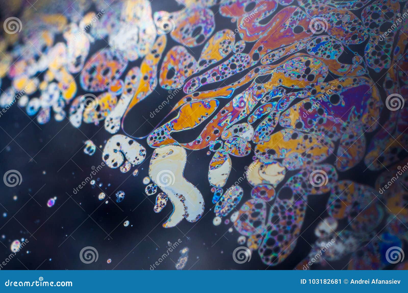 Beautiful Psychedelic Abstraction Formed by Light on the Surface of a ...