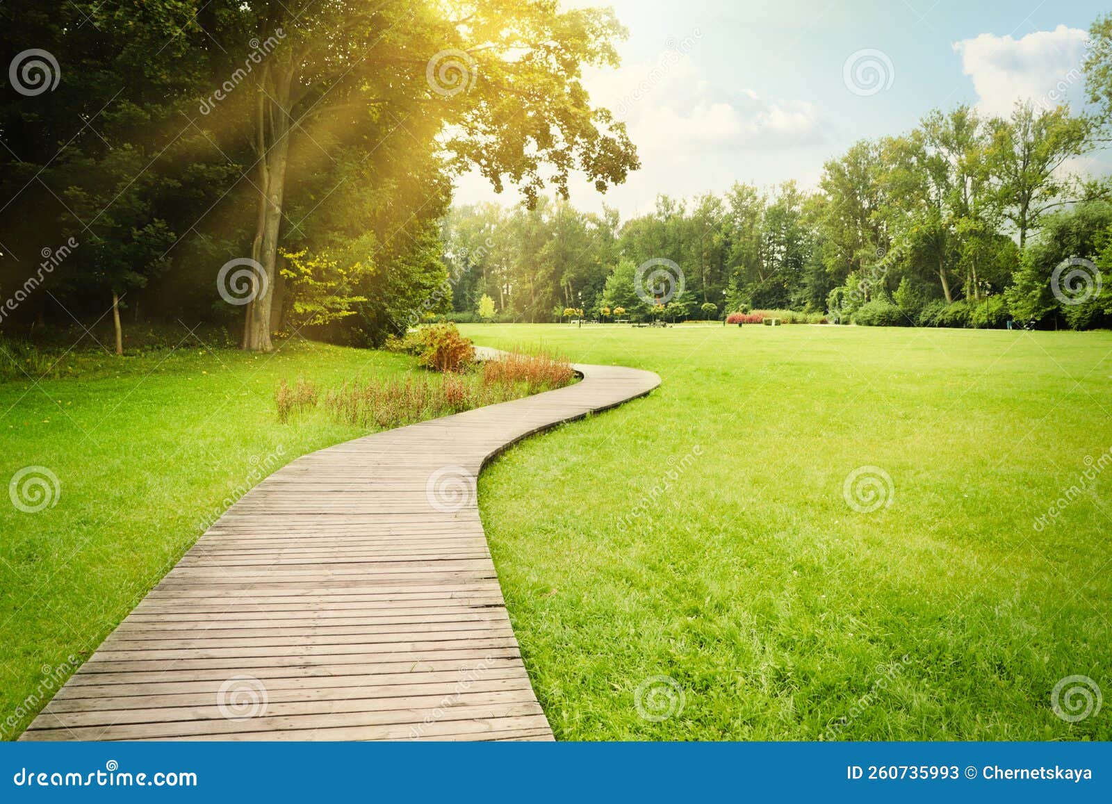 Beautiful Public City Park with Pathway and Green Grass Stock Image ...