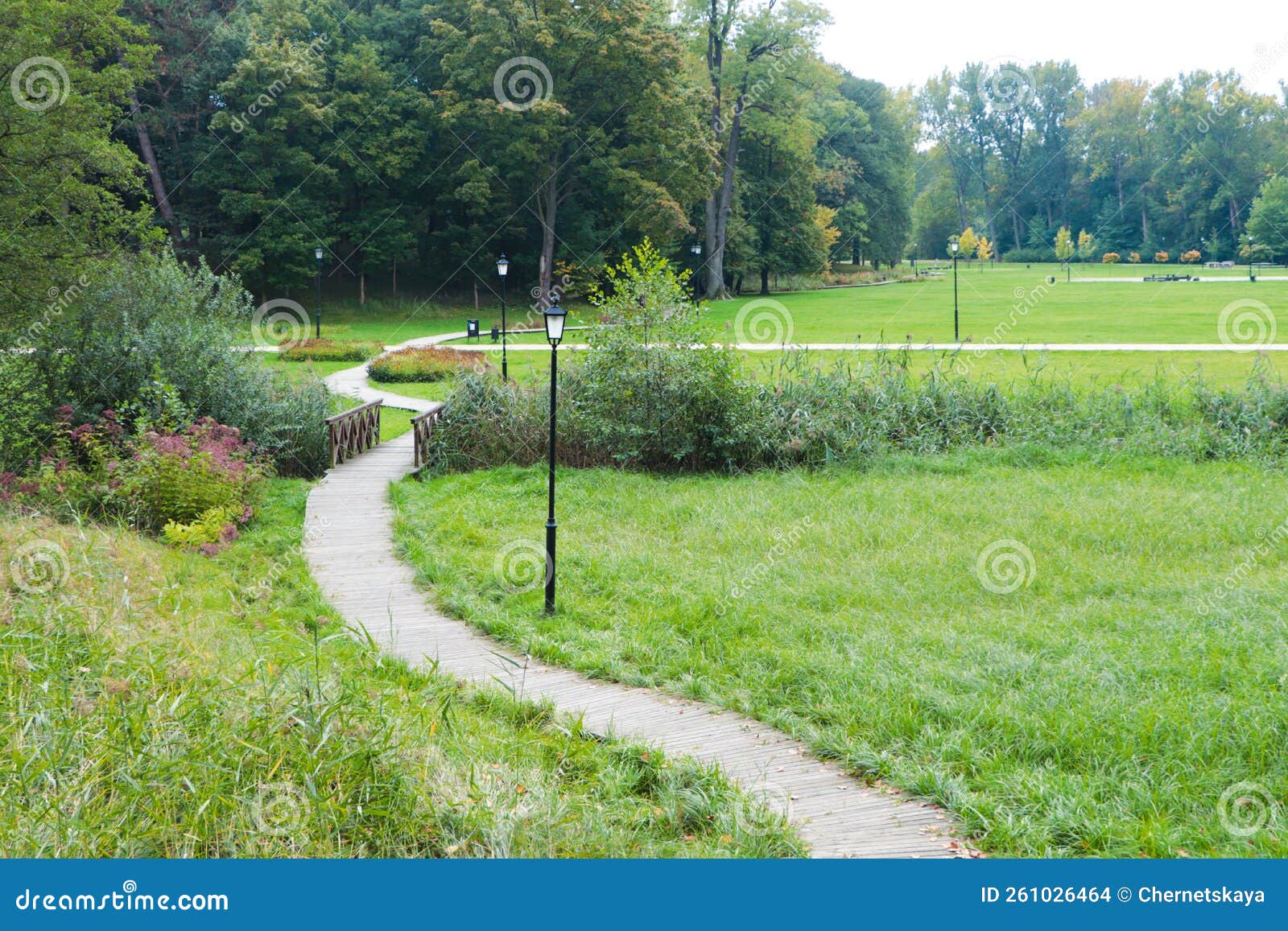 Beautiful Public City Park with Pathway and Green Grass Stock Photo ...