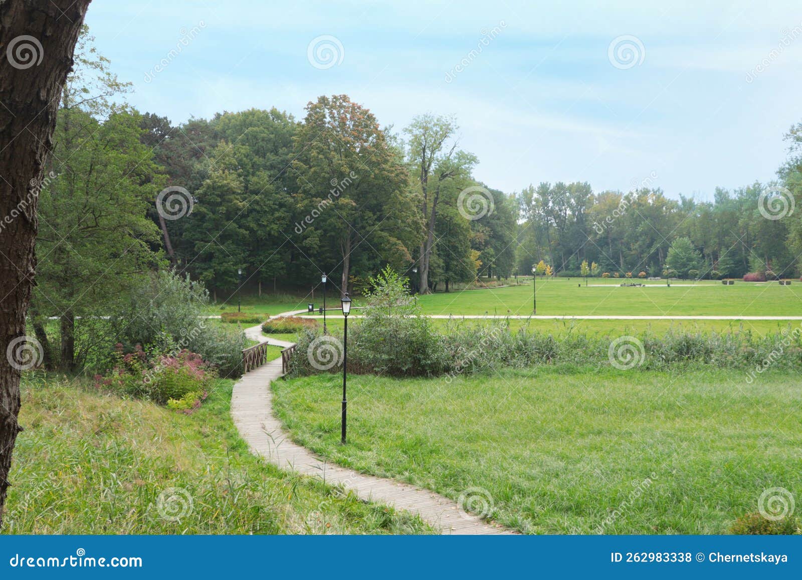 Beautiful Public City Park with Pathway and Green Grass Stock Photo ...
