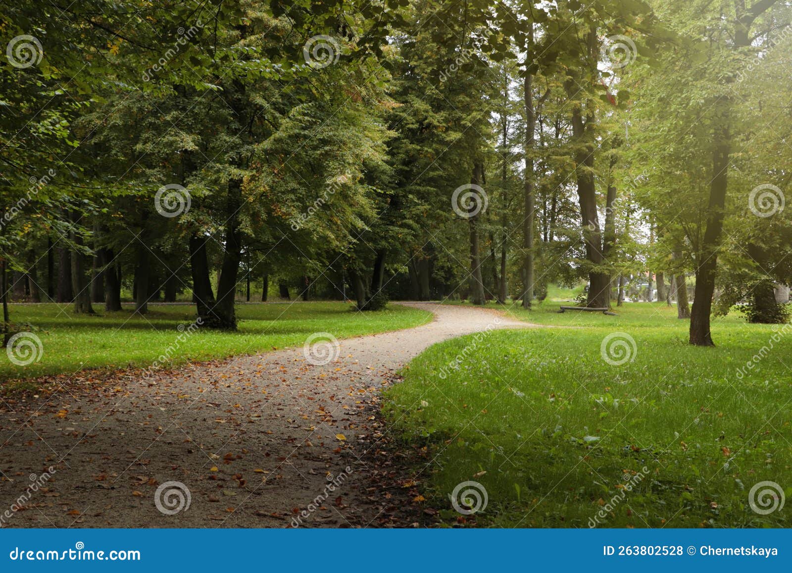 Beautiful Public City Park with Pathway and Green Grass Stock Photo ...
