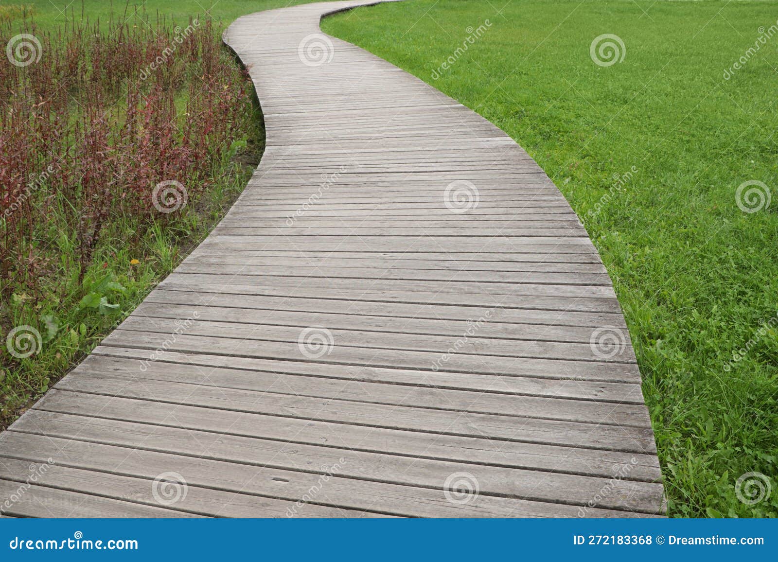 Beautiful Public City Park with Pathway and Green Grass Stock Photo ...