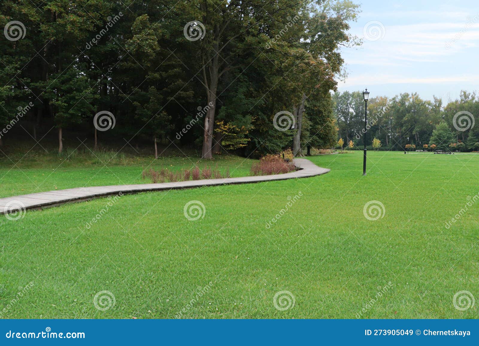 Beautiful Public City Park with Pathway and Green Grass Stock Image ...
