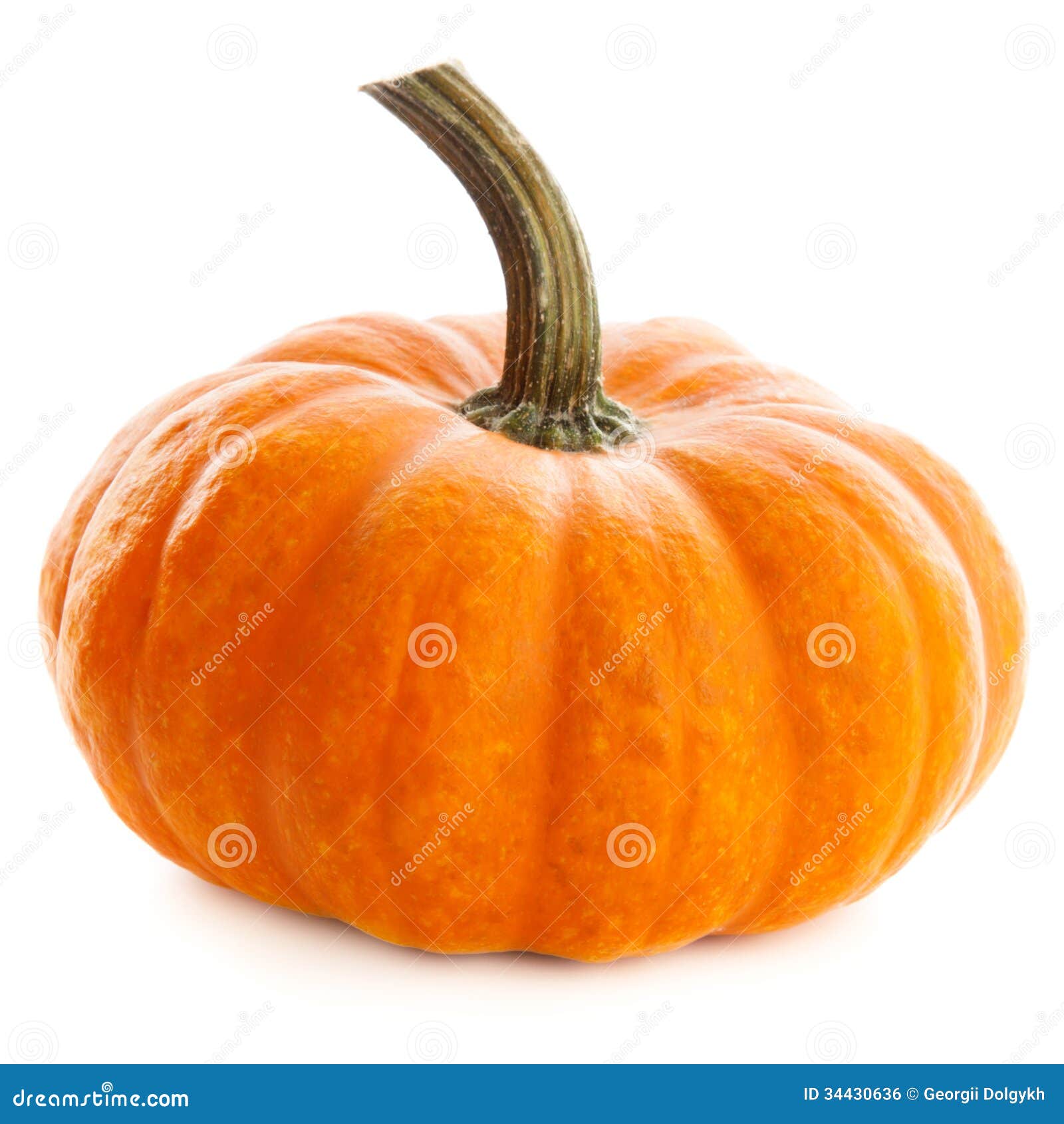 White Pumpkin And Leaves Laying On Vintage Green Scale With Rust ...