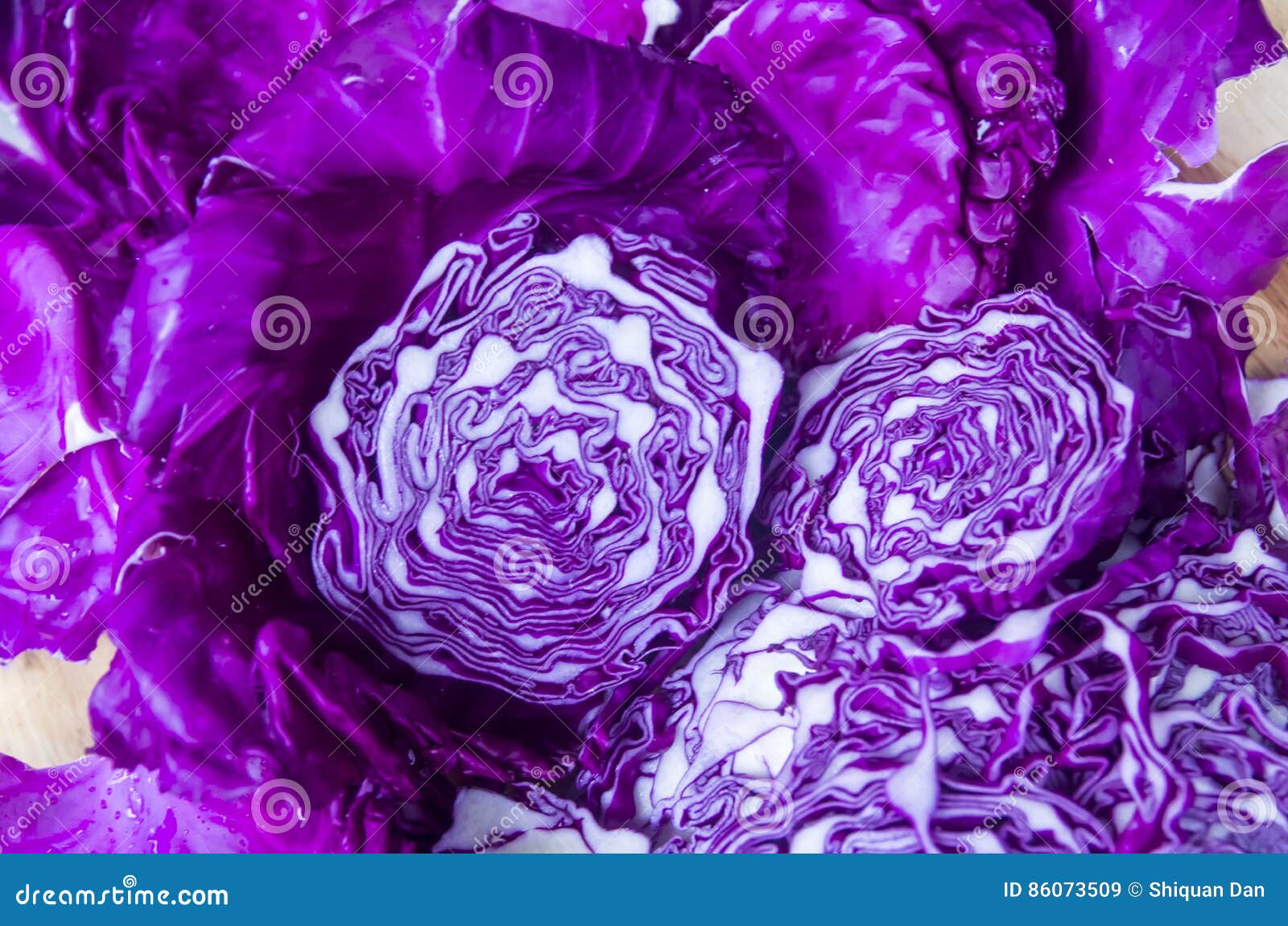 Beautiful purple cabbage stock image. Image of petal - 86073509