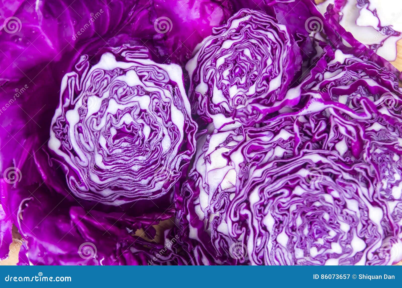 Beautiful purple cabbage stock image. Image of beautiful - 86073657