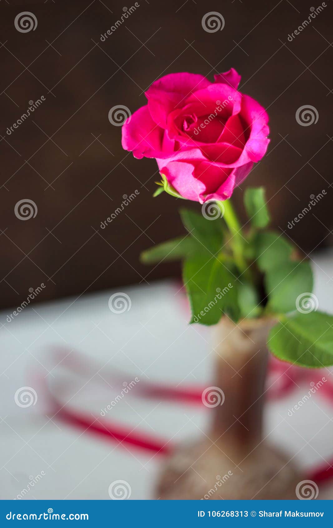 Beautiful Purple Rose Bud. One Rose. Stock Image - Image of celebration ...