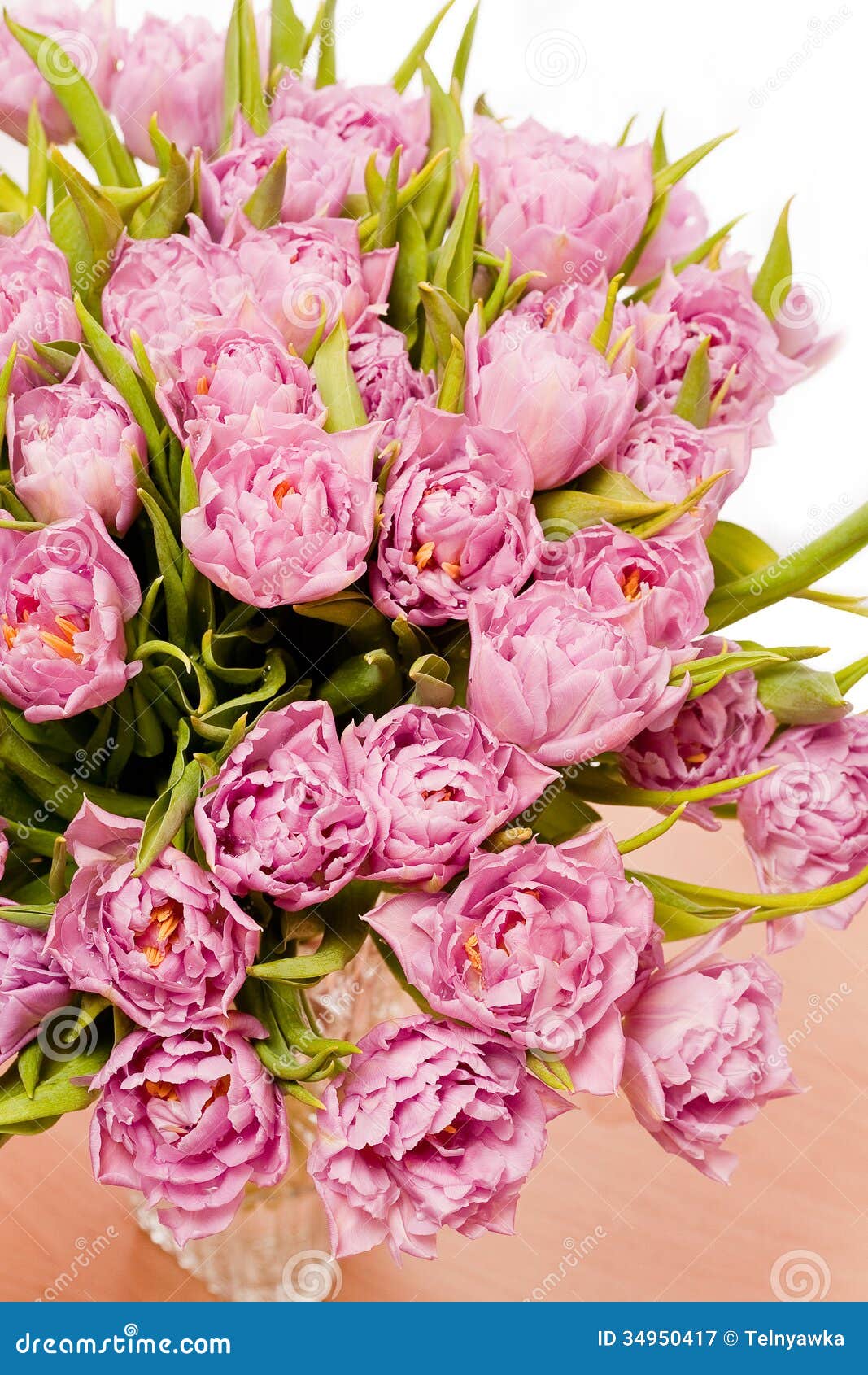 Beautiful purple tulips stock image. Image of background - 34950417