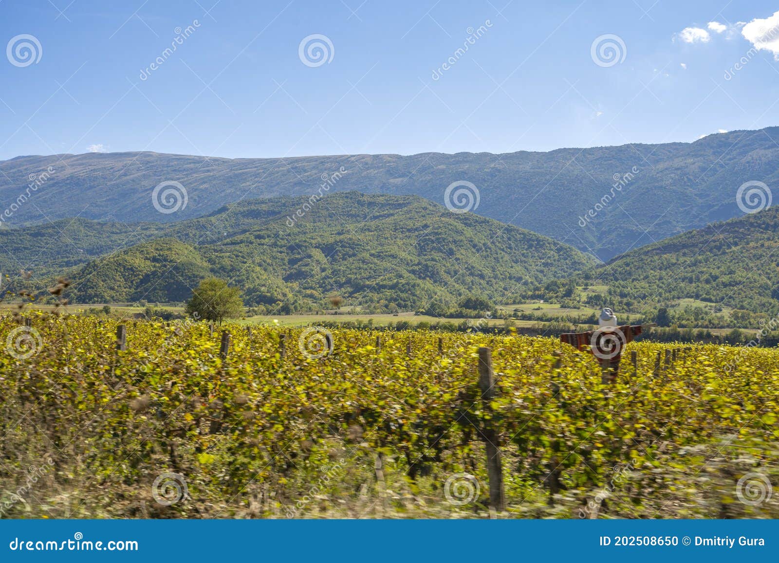 Beautiful and Quiet Nature Landscape Stock Photo - Image of mountain ...
