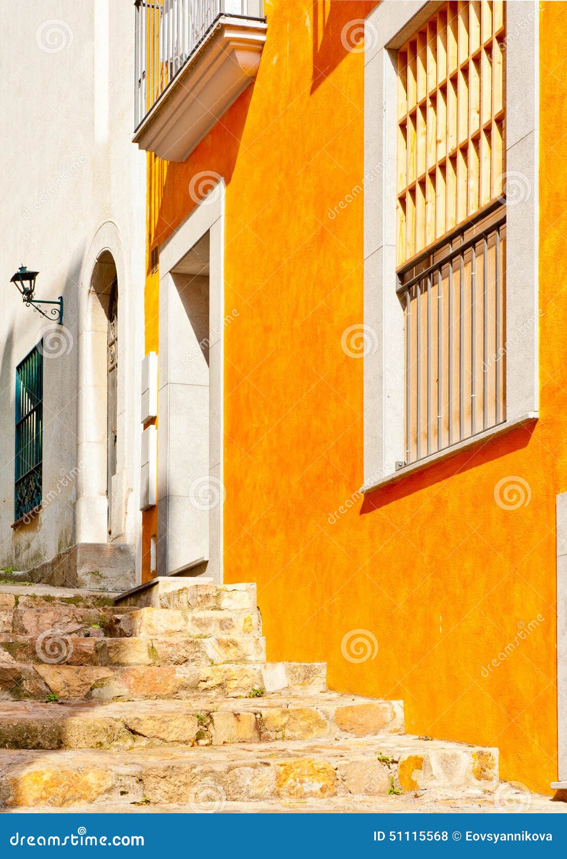 Beautiful Quiet Elephant Up Close And Happy Stock Image | CartoonDealer ...