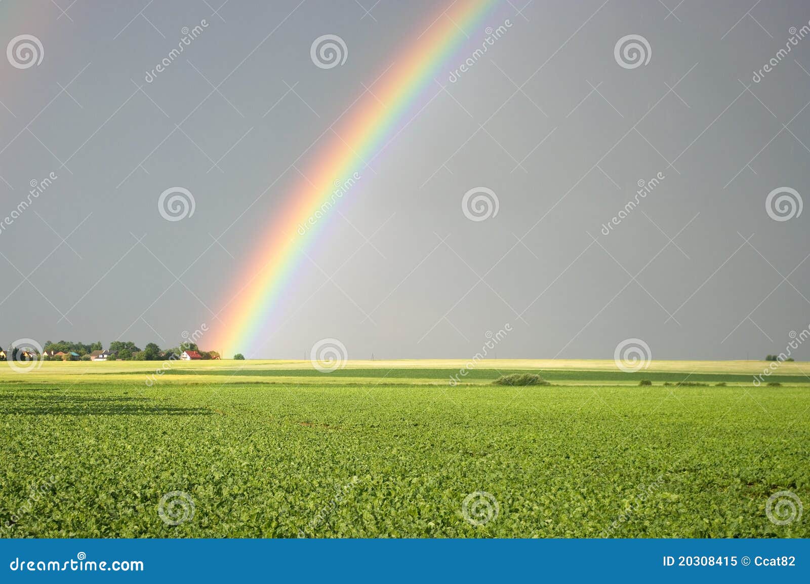 Beautiful Rainbow Color Wide Lens Projector With Light Beam For Movie ...