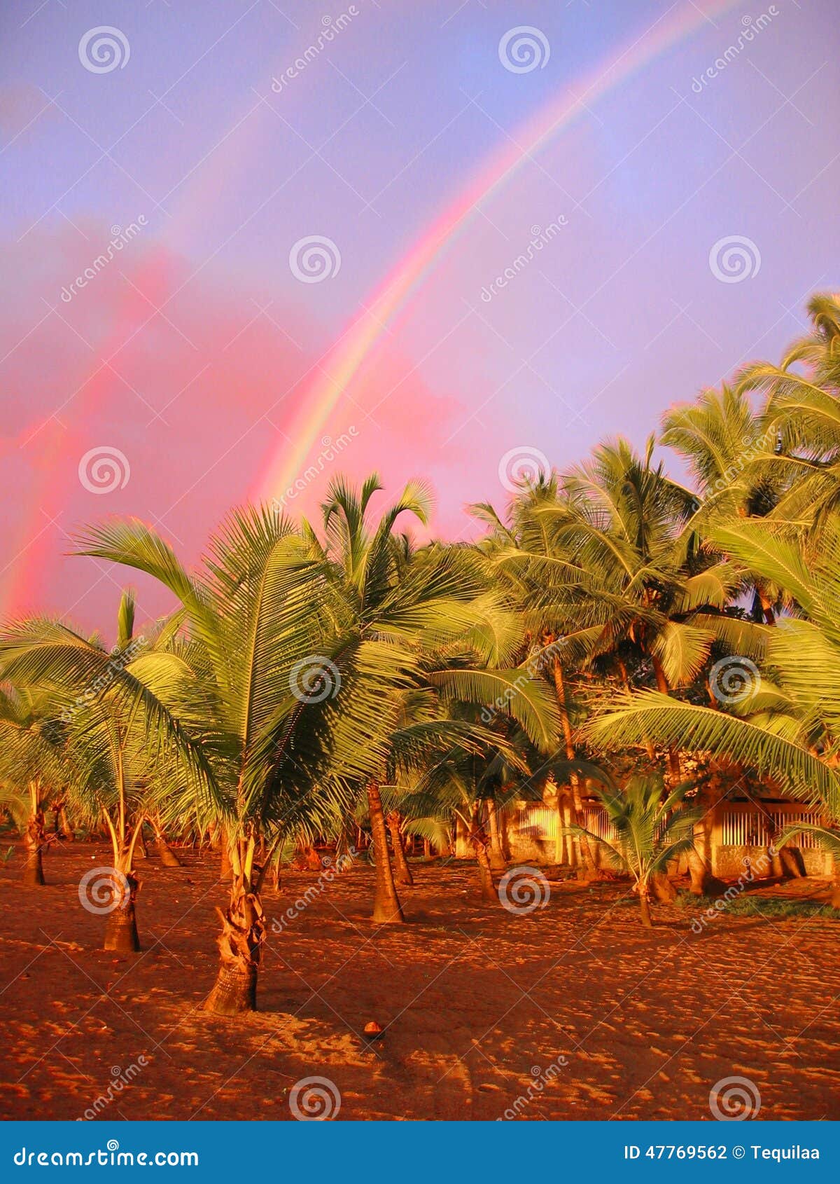 Beautiful Rainbow in Costa Rica Stock Photo - Image of beach, rainbow ...