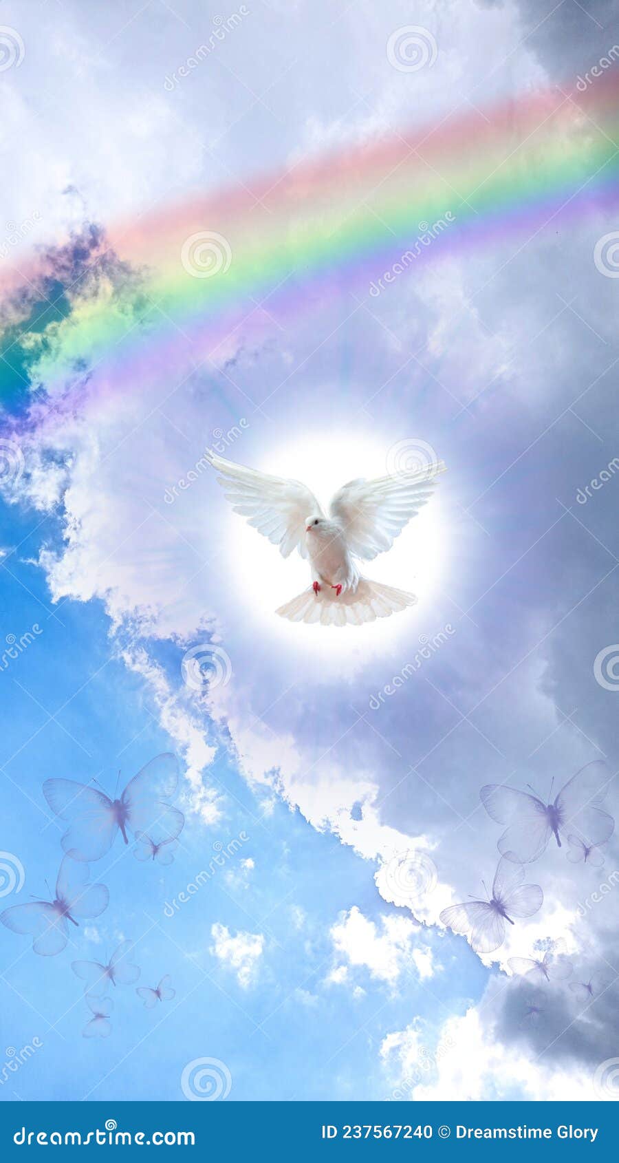 Beautiful Rainbow on the Sky with White Dove Stock Photo - Image of ...