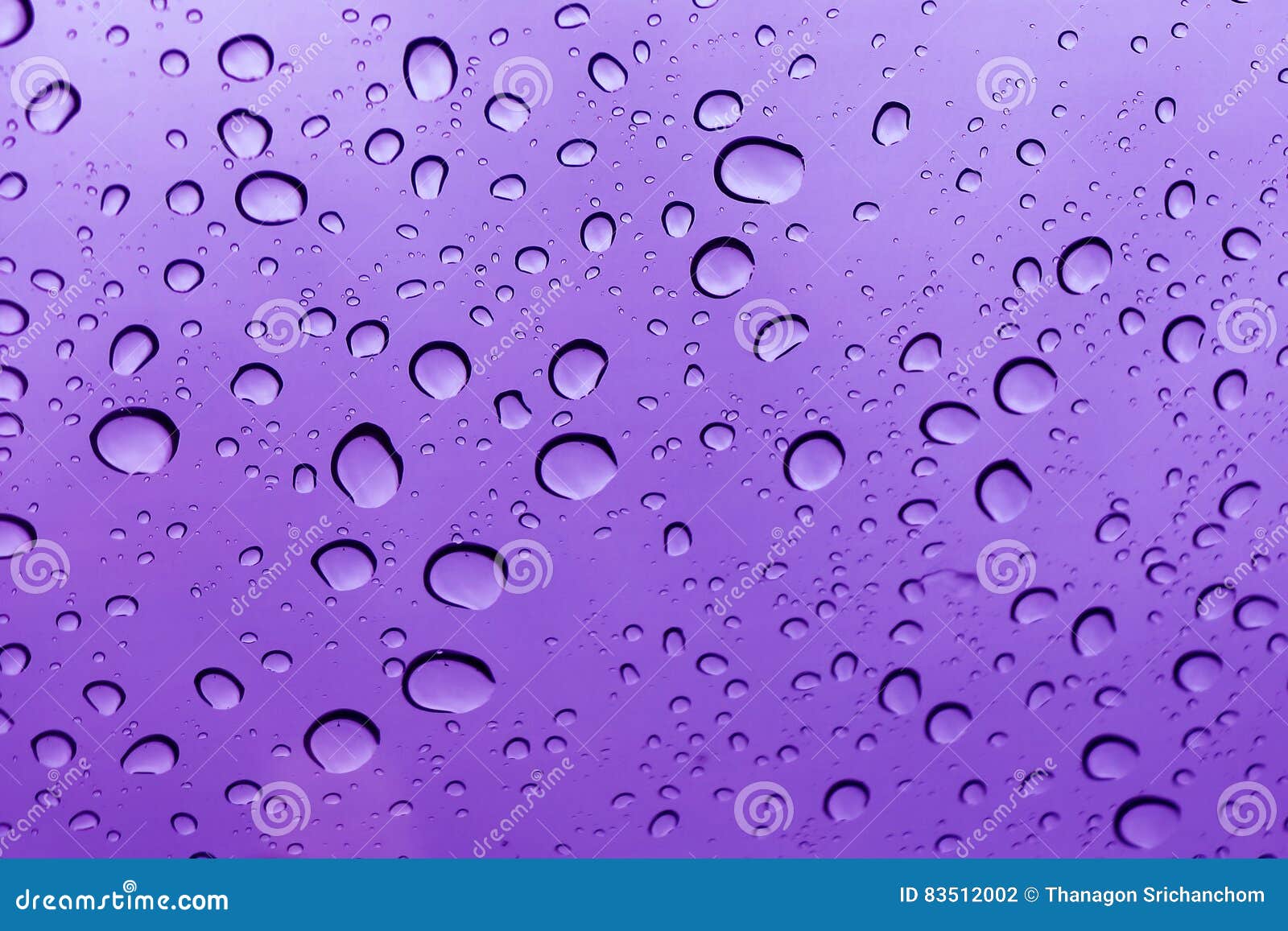 Beautiful Raindrops on the Purple Glass. Stock Photo - Image of liquid ...