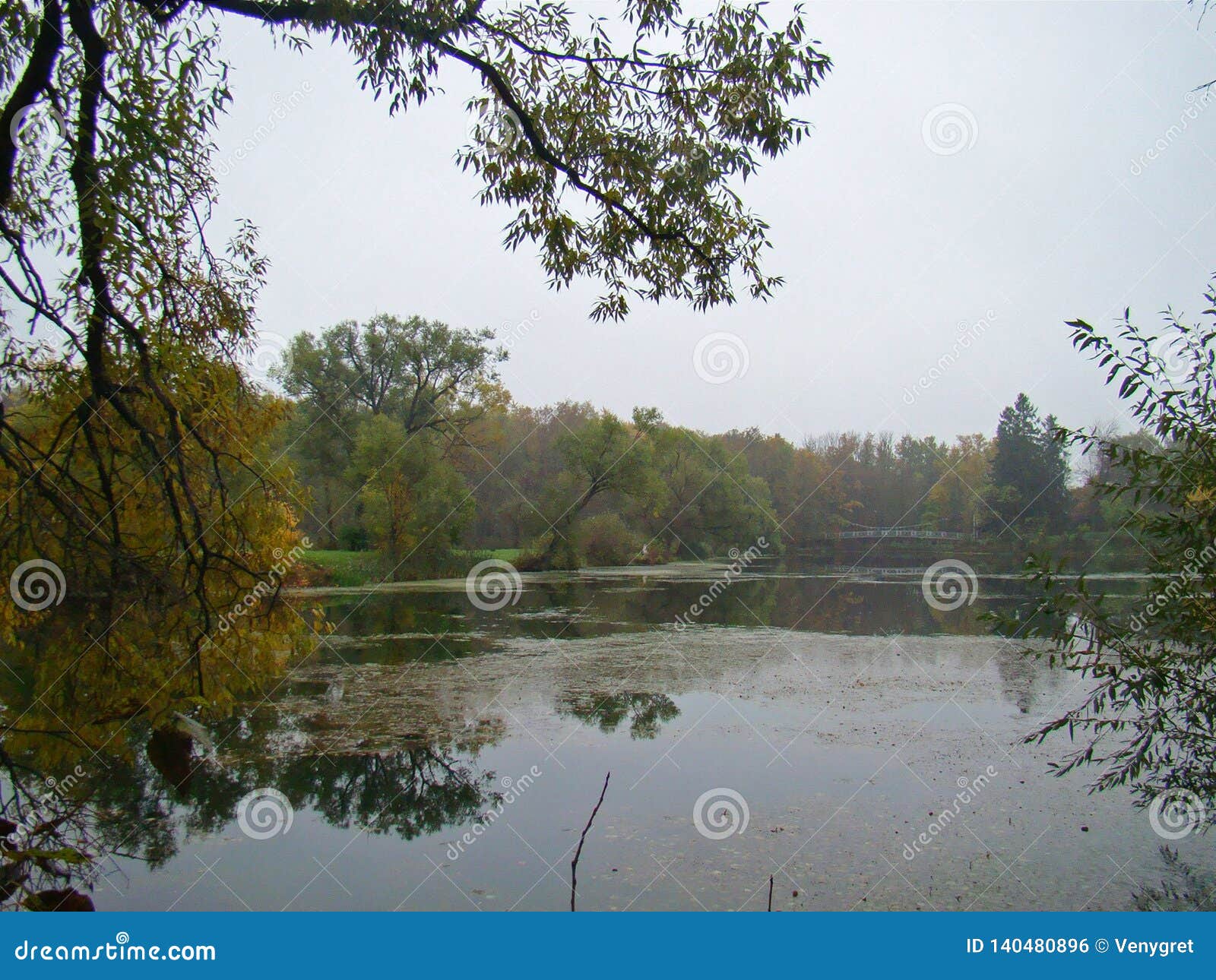 Beautiful Rainy Autumn View with a Pond Stock Photo - Image of yellow ...