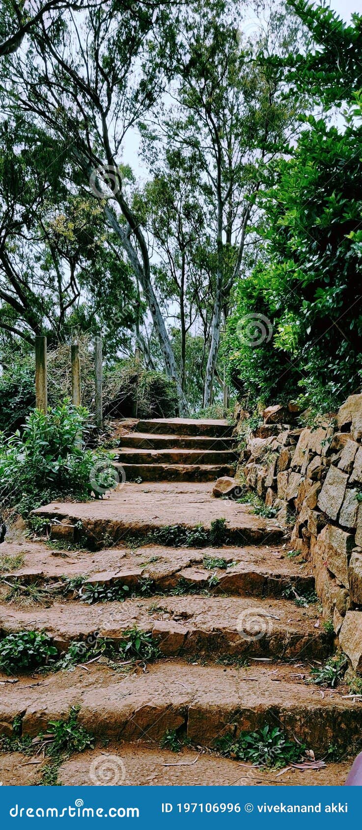 Beautiful Ramp with Greenery Stock Photo - Image of trail, wall: 197106996