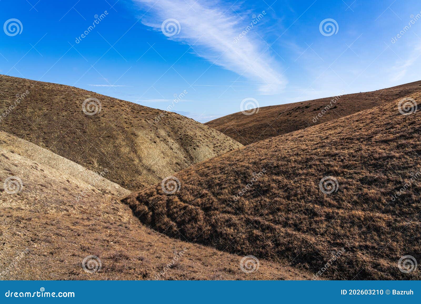 Beautiful Ravine in the Highlands Stock Photo - Image of gorge, idyllic ...