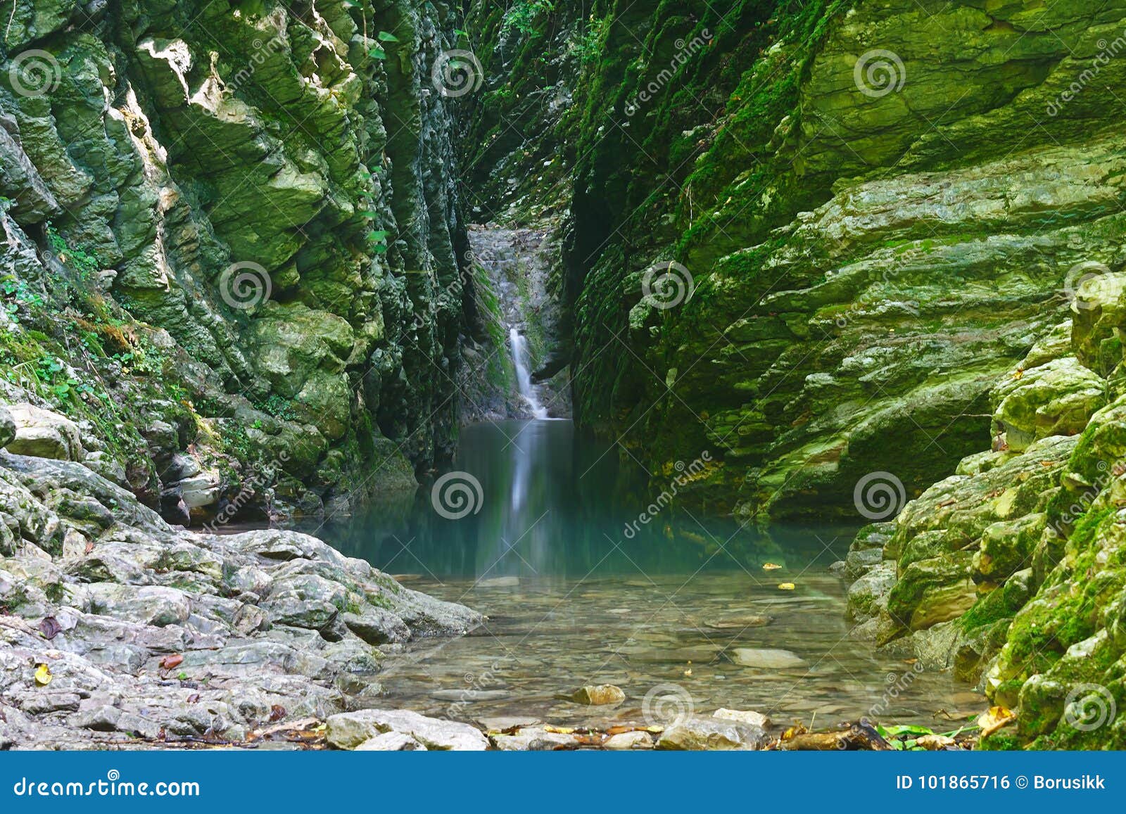 Beautiful Ravine Overgrown with Moss and Ivy with a Calm River and ...