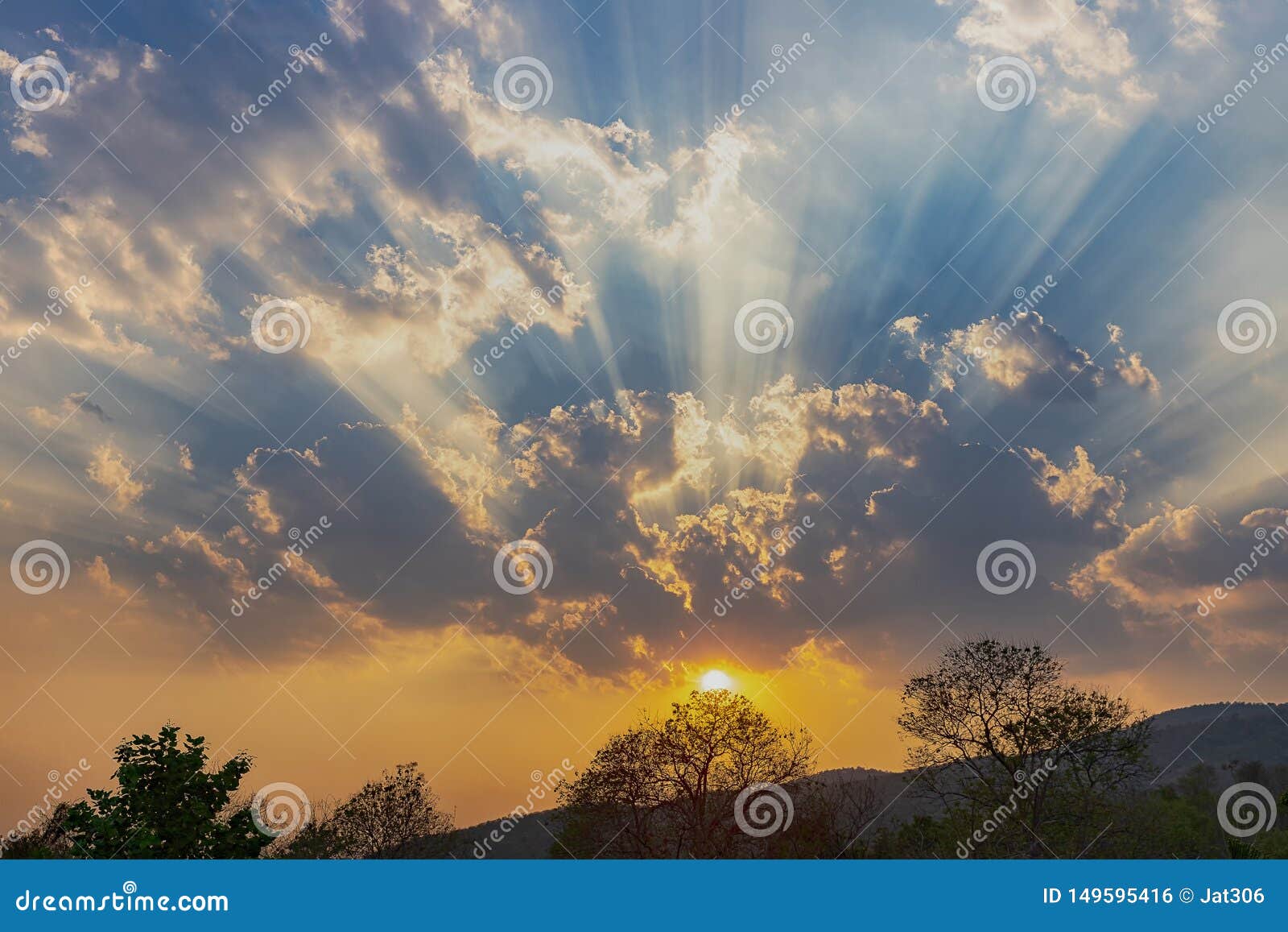 Sunlight Breaking Through The Trees In Hooghalen Stock Photo ...