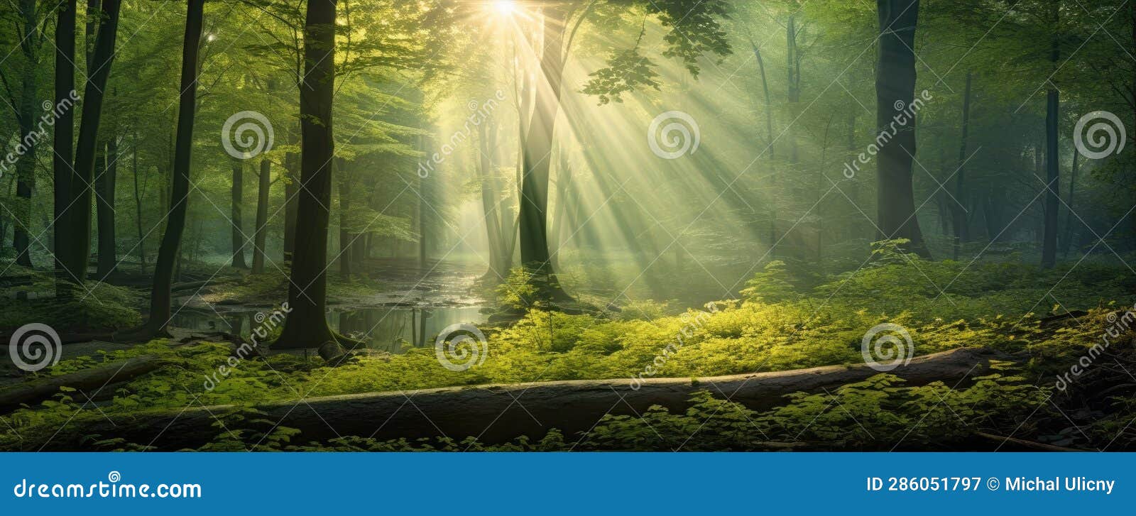 Beautiful Rays of Sun Light in Green Magic Forest. Copy Space for Text ...