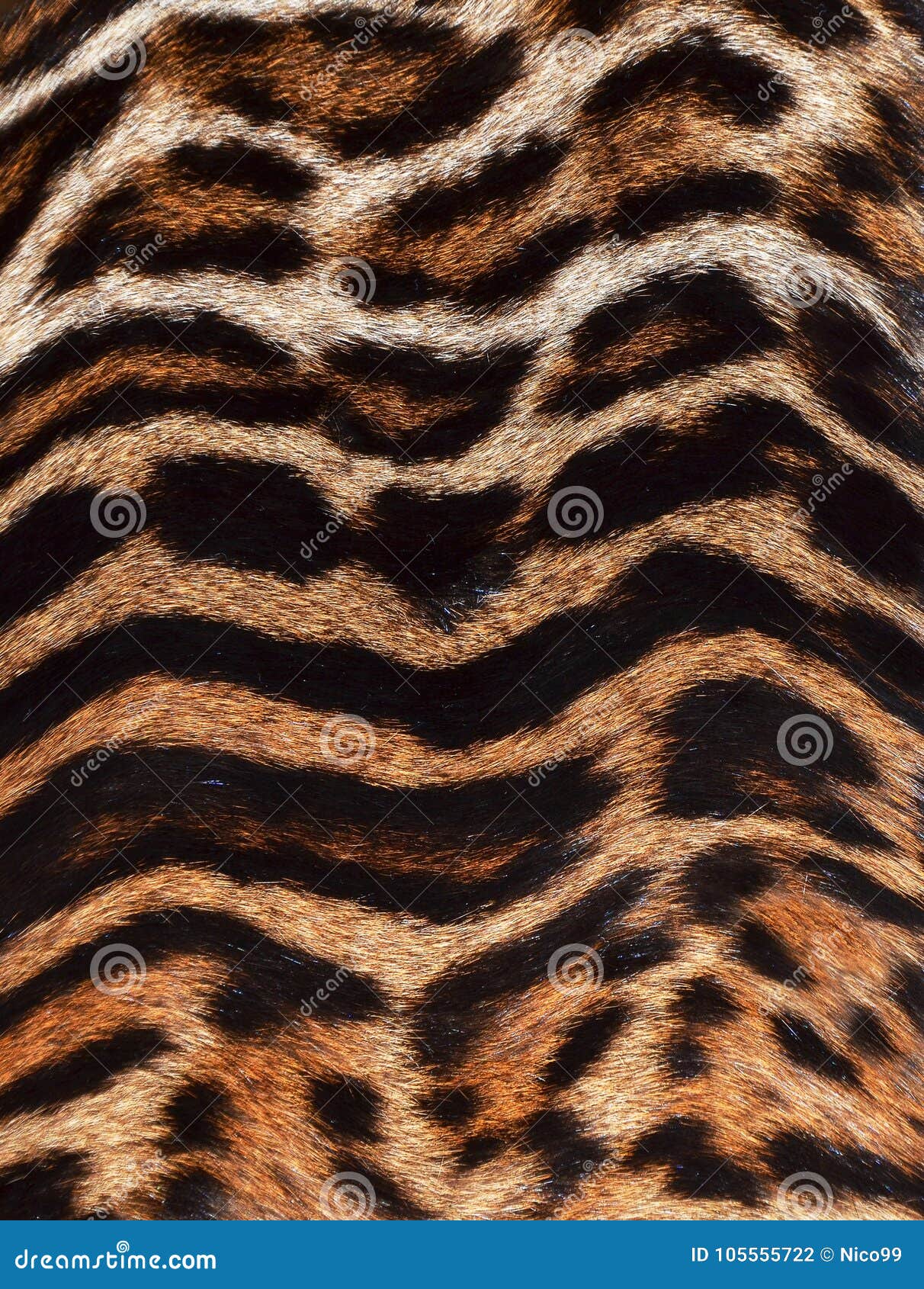 Beautiful Real Skin of Leopard Stock Photo - Image of ocelot, macro ...