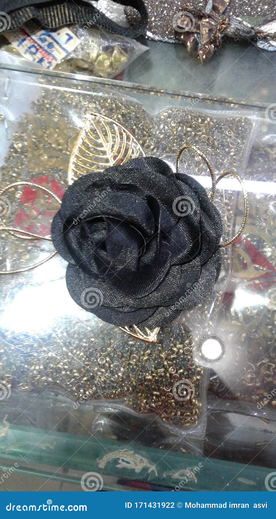 Beautiful Rear Black Golden Rose Stock Photo - Image of beautiful ...