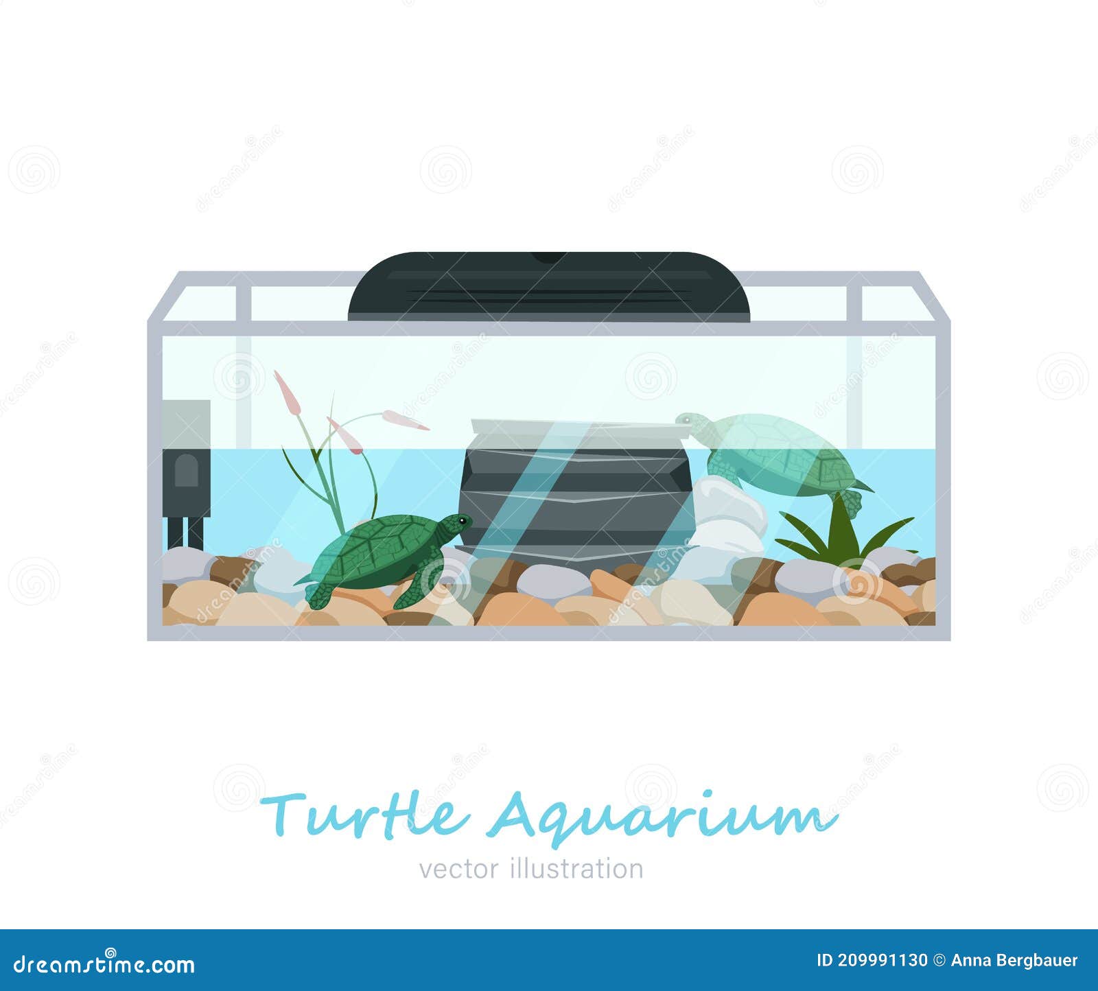Beautiful Rectangular Fish Tank Image Stock Vector - Illustration of ...