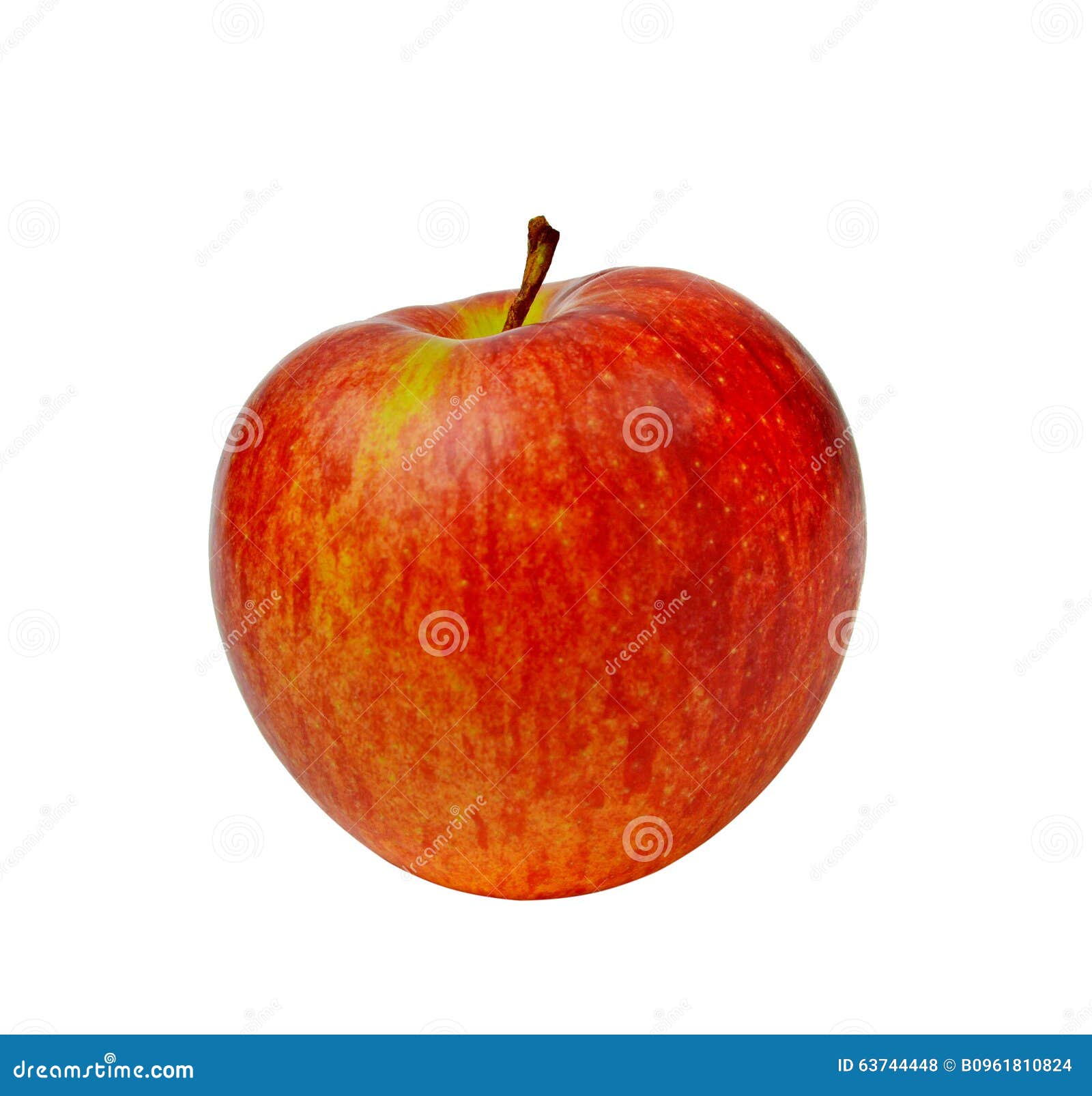 Beautiful Red Apple , Isolated Stock Photo - Image of horticulture ...