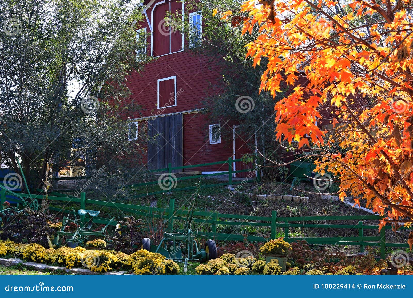 Beautiful Red Barn stock photo. Image of yellow, grandmas - 100229414