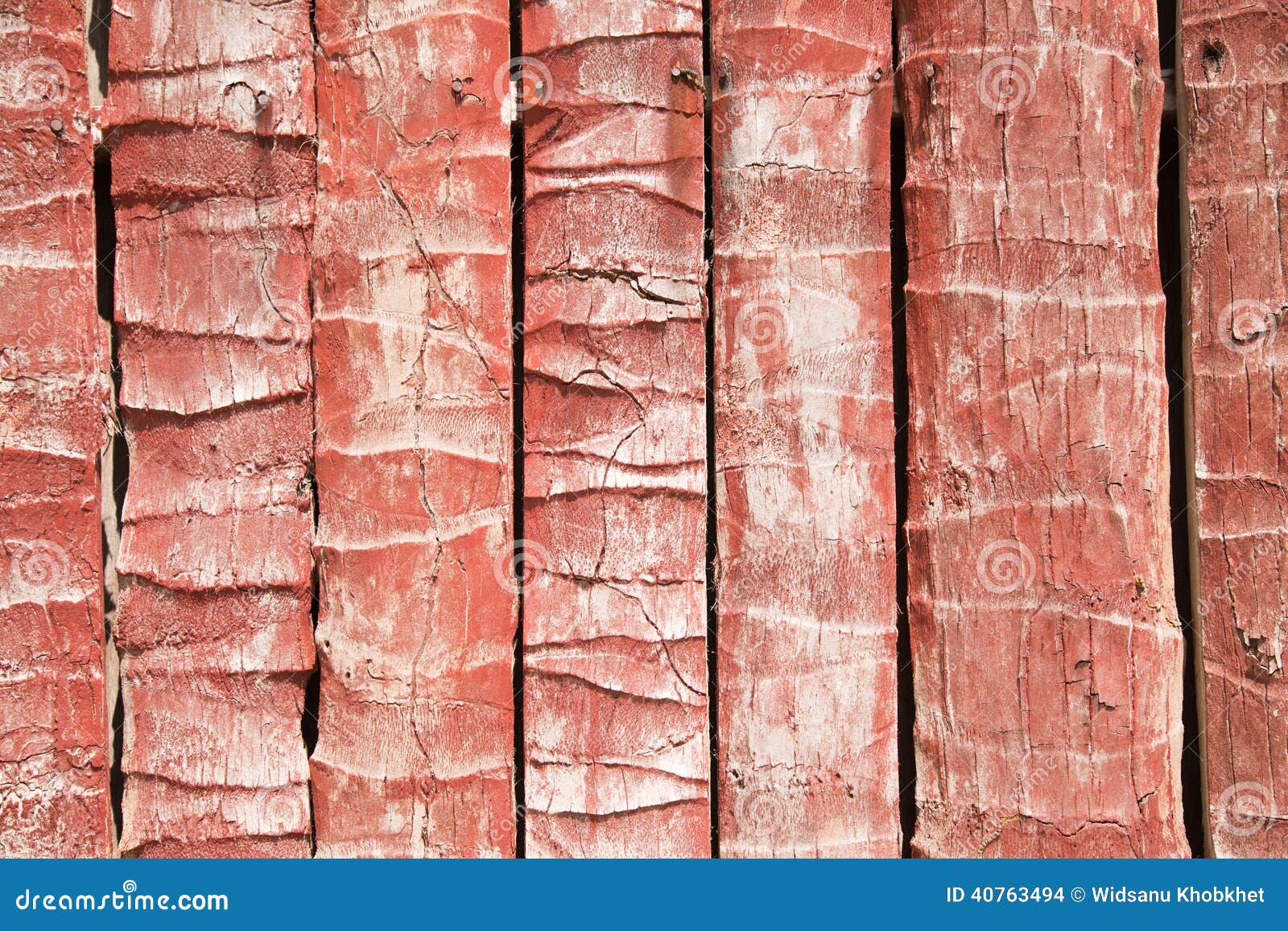 Beautiful red coconut wall stock photo. Image of design - 40763494