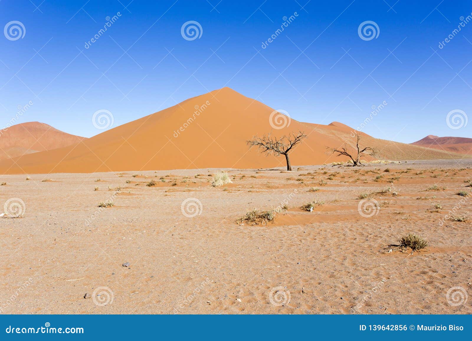 Beautiful red dune stock photo. Image of wilderness - 139642856