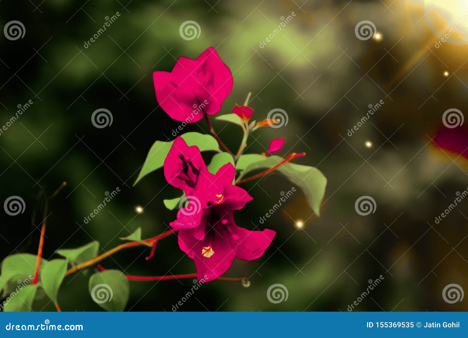 A Beautiful Red Flower Wallpaper Stock Image - Image of flower ...