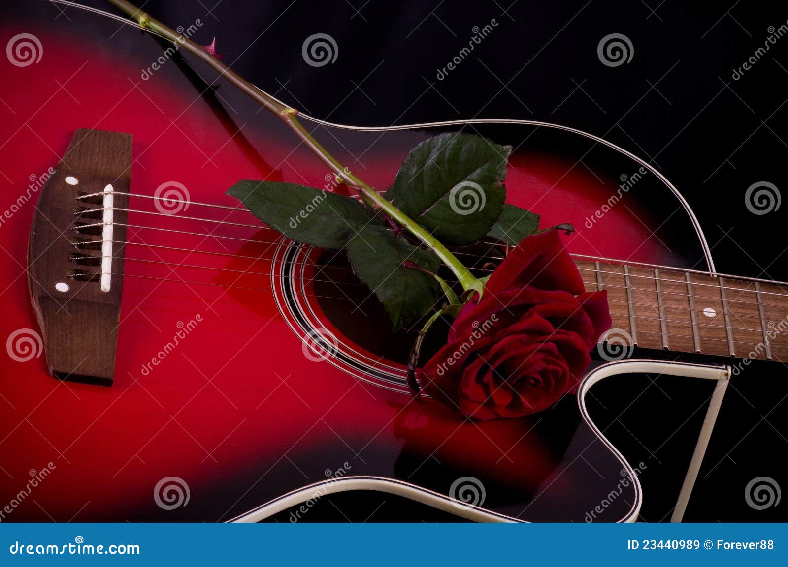 Beautiful Red Guitar with Red Roses Stock Image - Image of flora, jack ...
