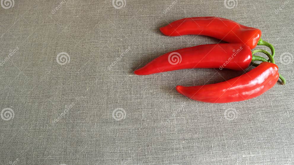 Beautiful red kapi pepper stock image. Image of ripe - 211565231
