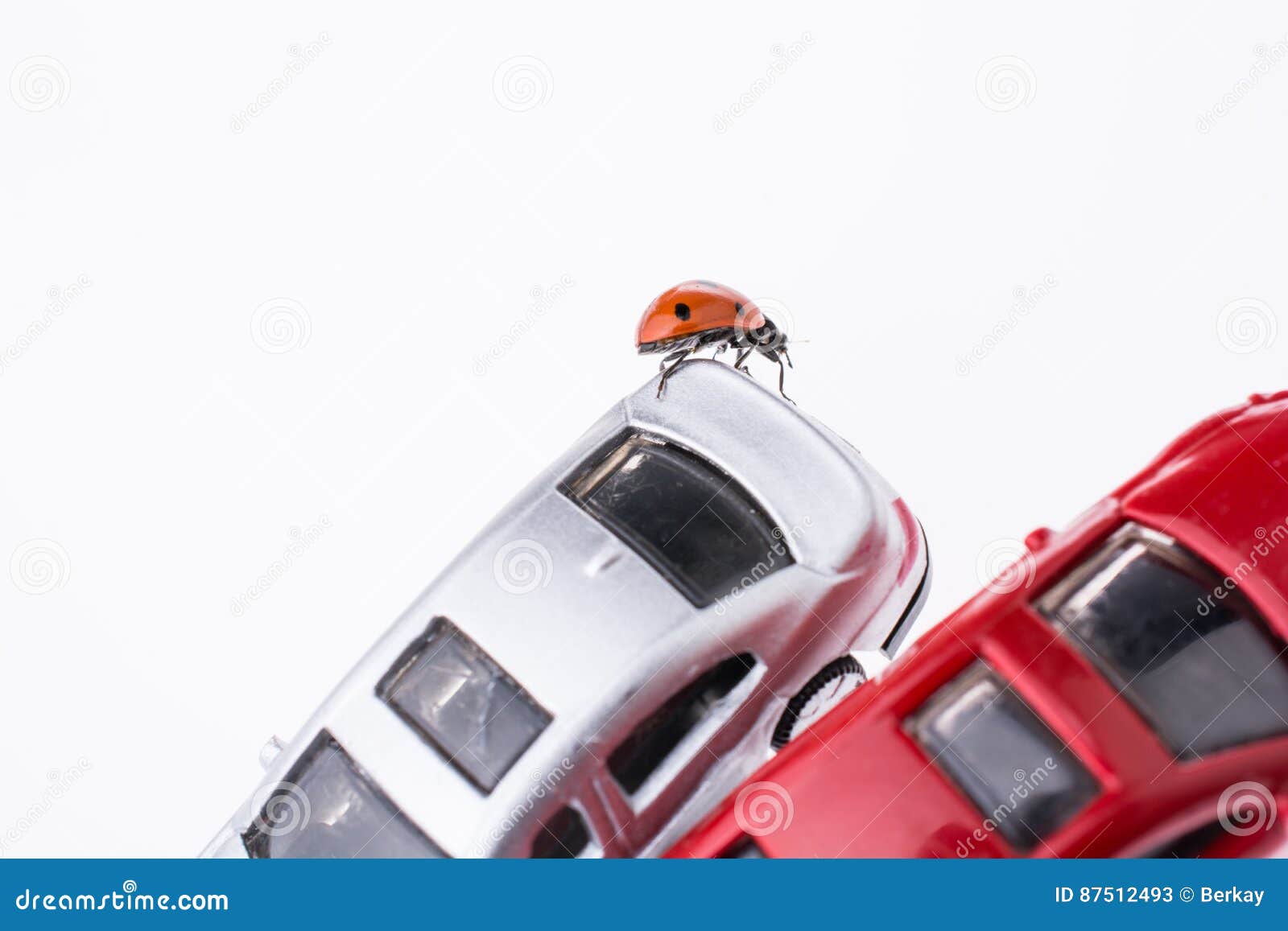 Beautiful Red Ladybug Walking on a Model Car Stock Image - Image of ...
