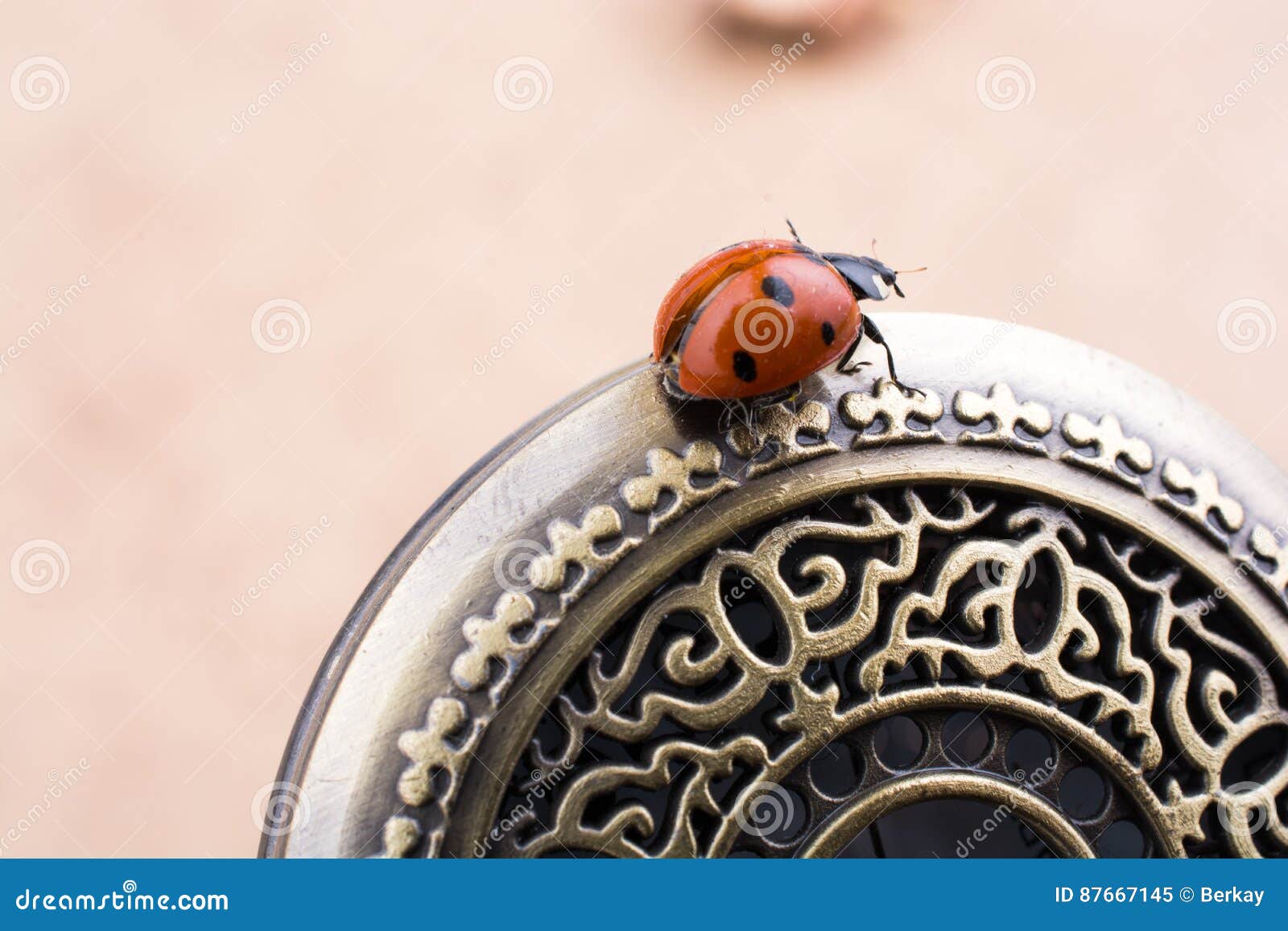 Beautiful Red Ladybug Walking on a Pocket Watch Stock Image - Image of ...