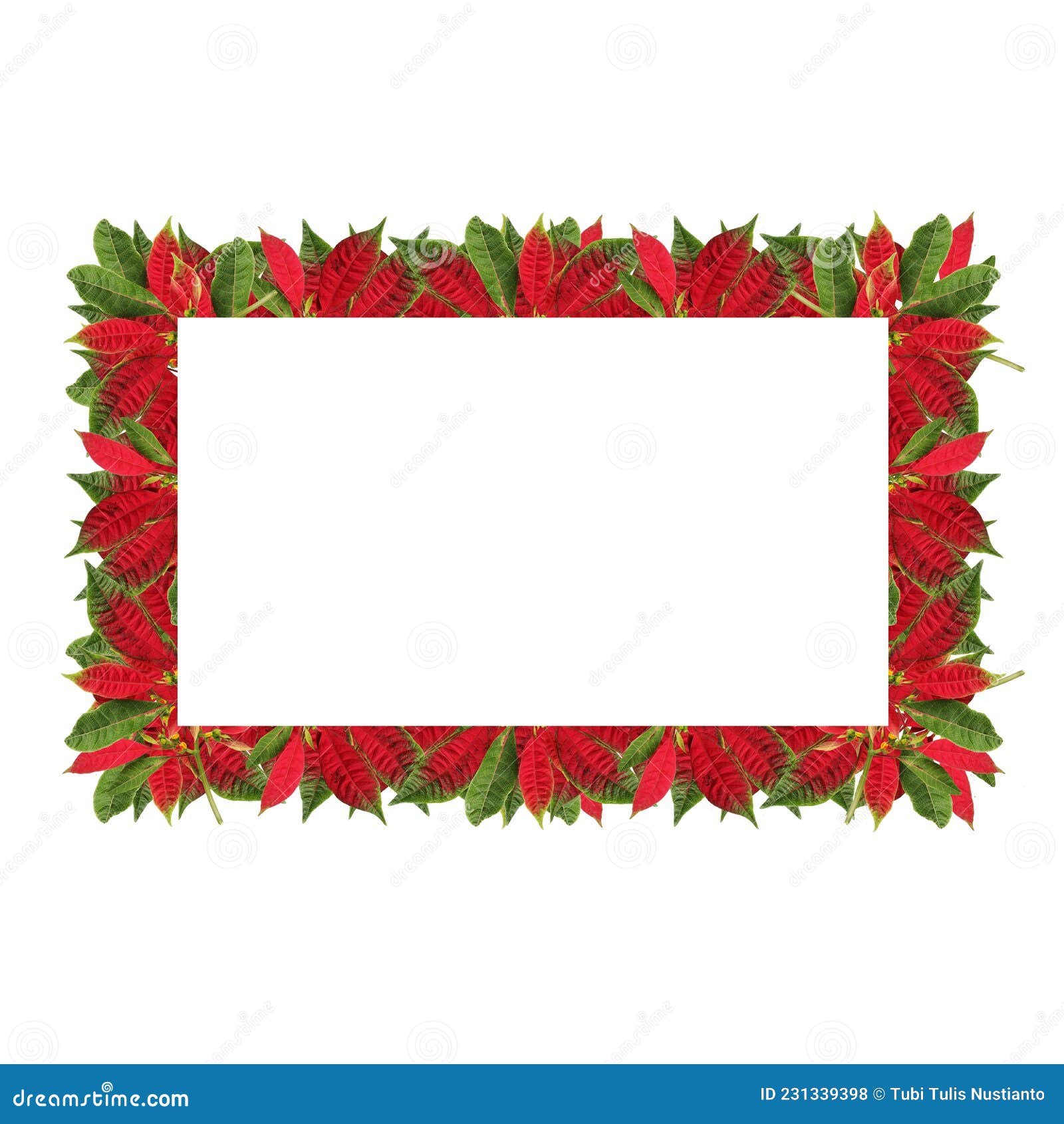 Beautiful Red Leaf Frame Ornament, Decorative Nature Template with ...