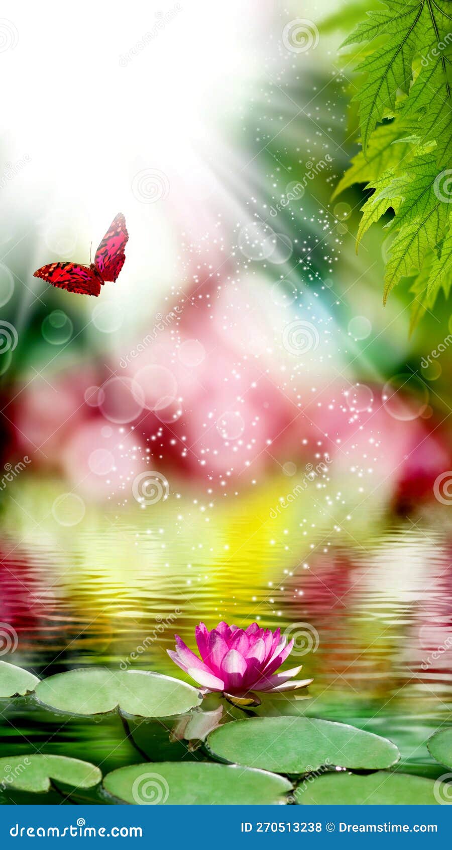 Beautiful Red Lotus Flower and Butterfly Stock Photo - Image of lily ...