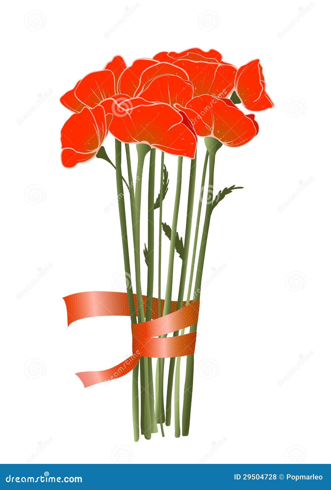 Beautiful Red Poppies with Ribbon Stock Vector - Illustration of ...