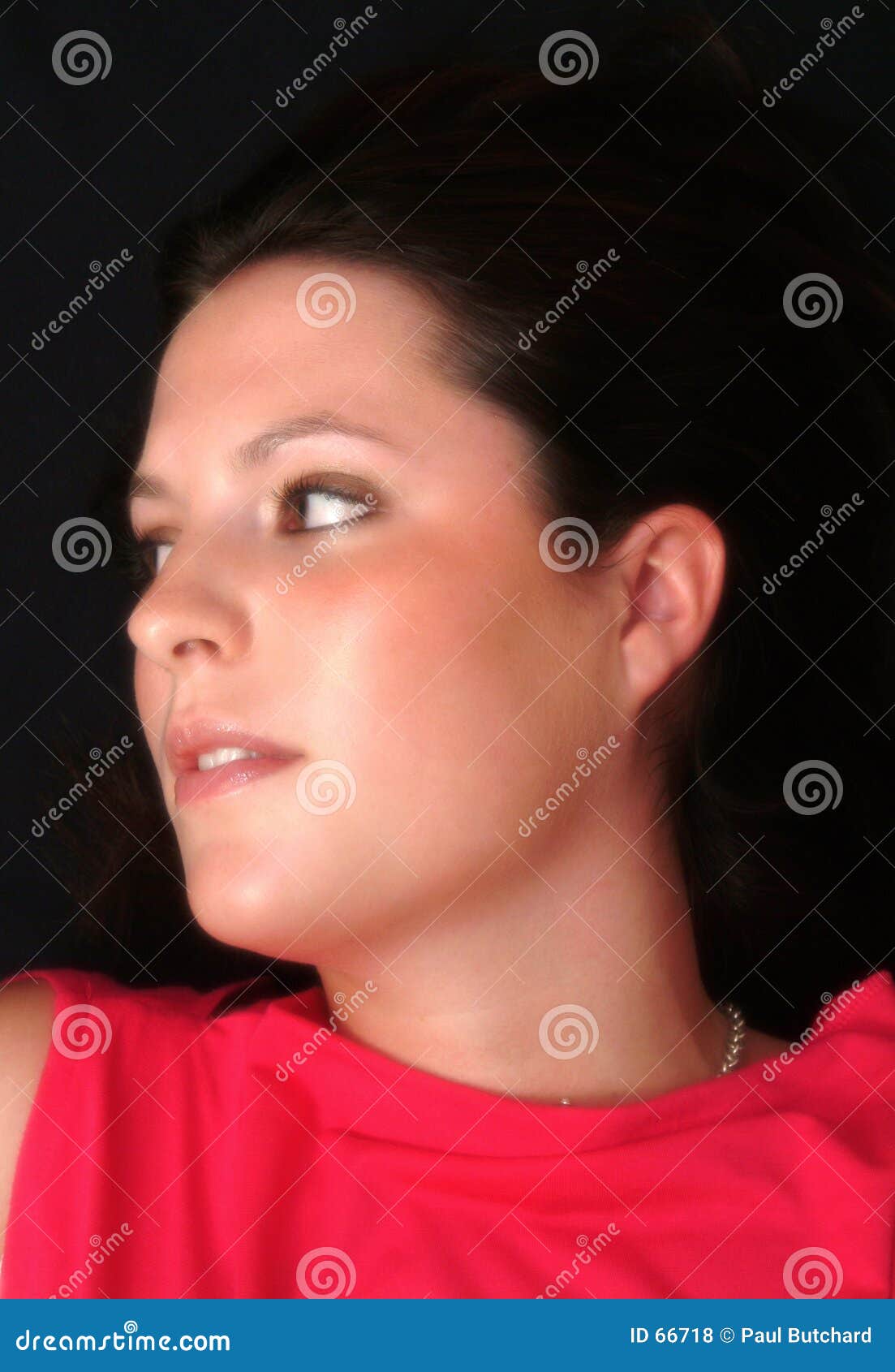 Beautiful in Red Portrait stock photo. Image of dress, pretty - 66718