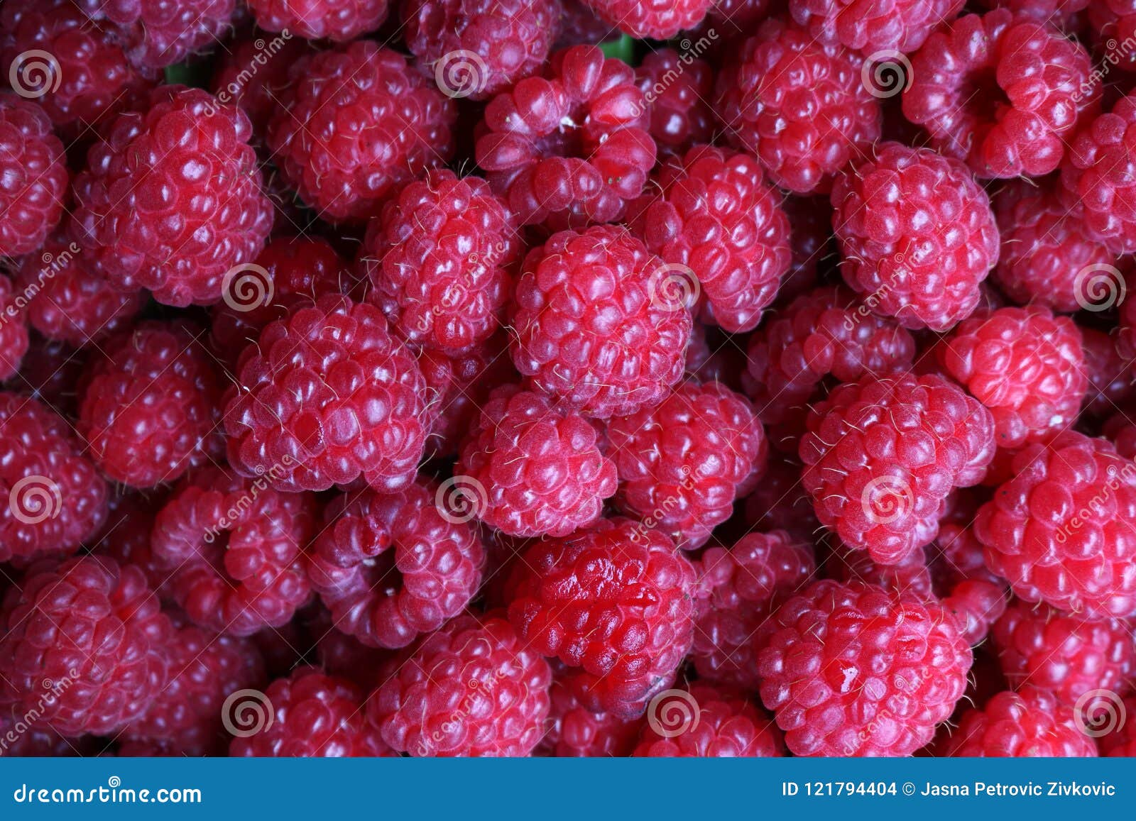 Beautiful Red Raspberry Background Stock Photo - Image of vibrant ...