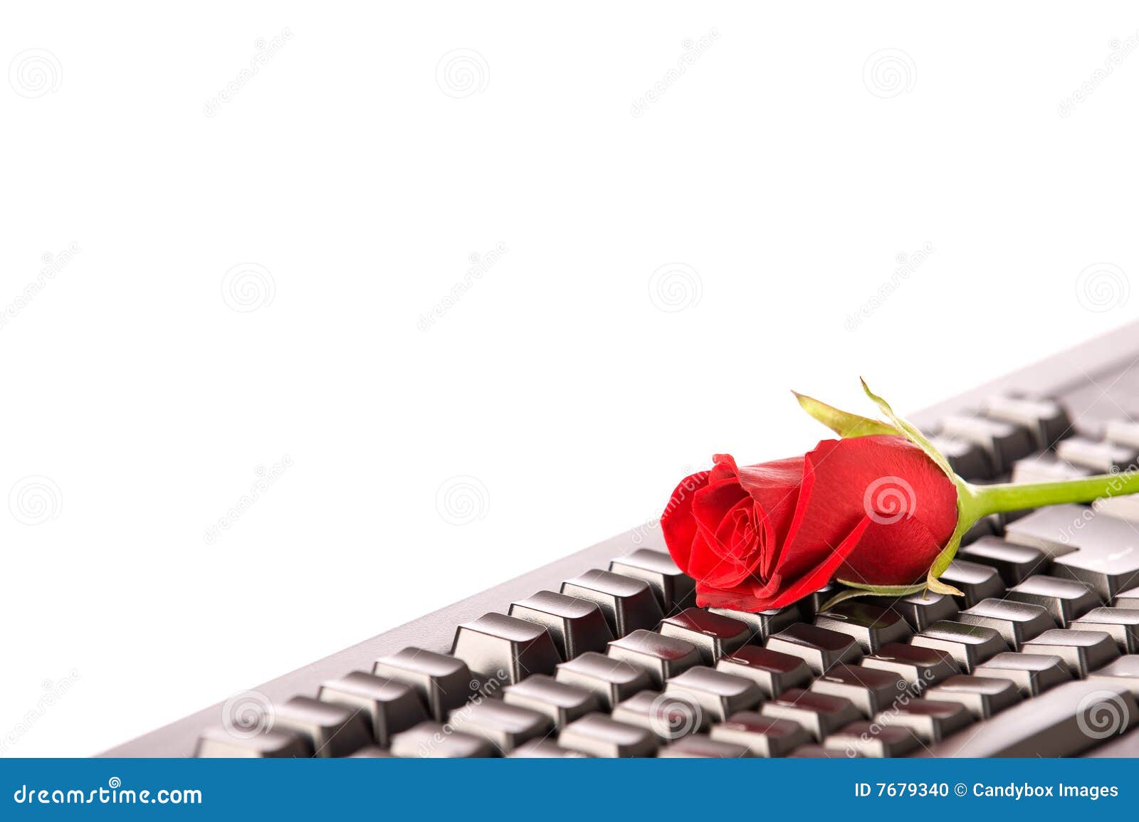Beautiful Red Rose on Black Keyboard Stock Photo - Image of love ...