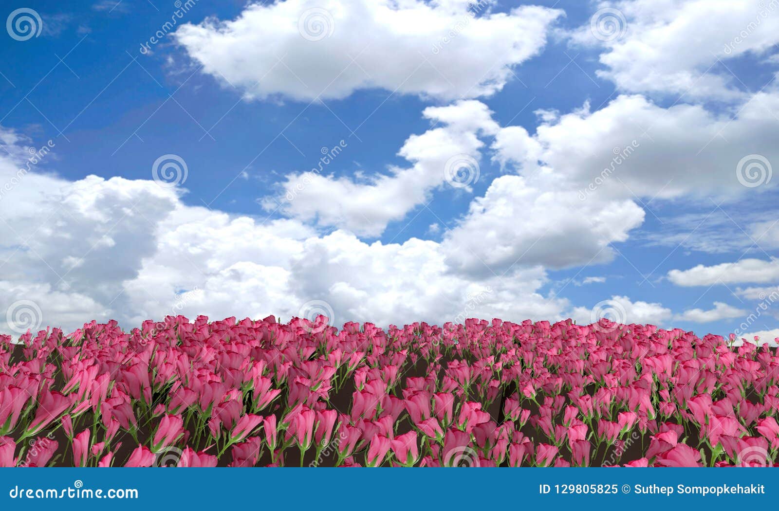 Beautiful Red Rose with Blue Sky ,3D Rendering. Stock Image - Image of ...