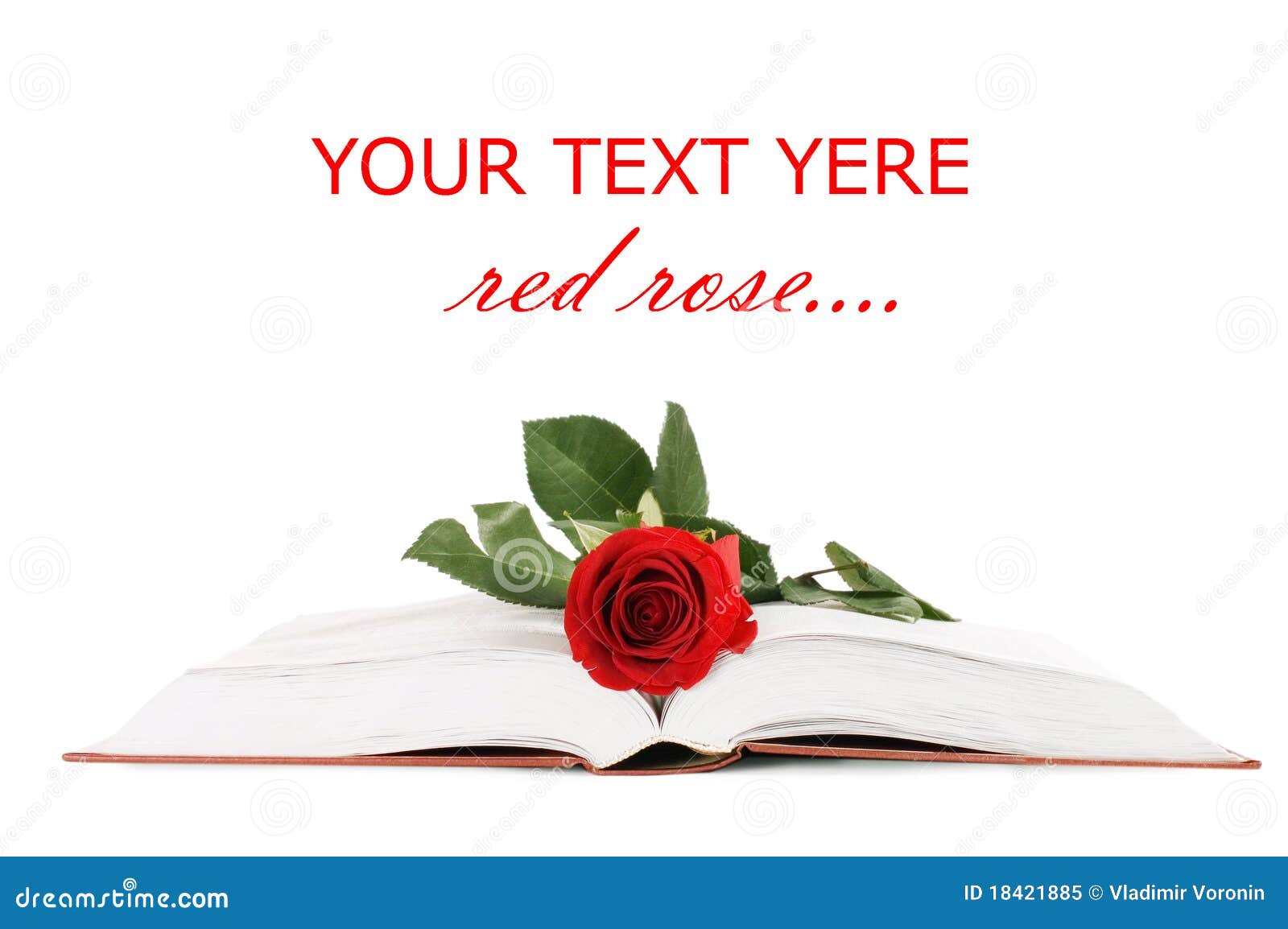 Beautiful Red Rose on the Book Stock Image - Image of love, memory ...