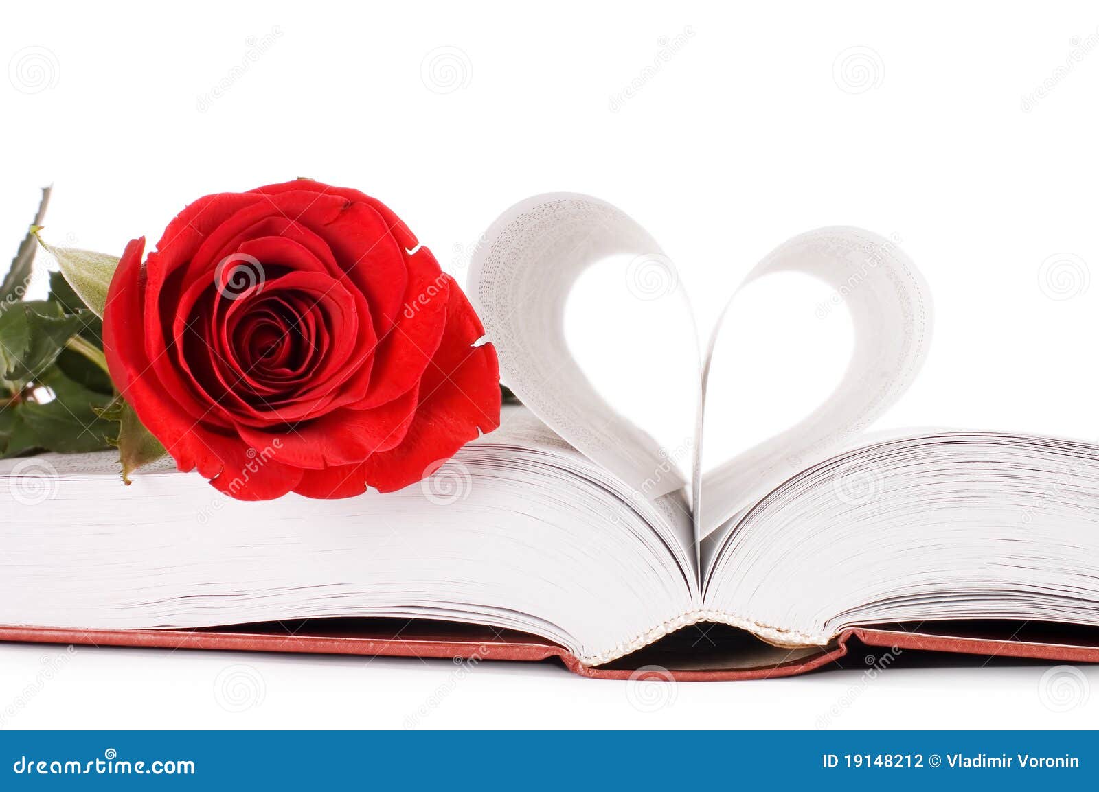Beautiful Red Rose on the Book Stock Photo - Image of document, notepad ...