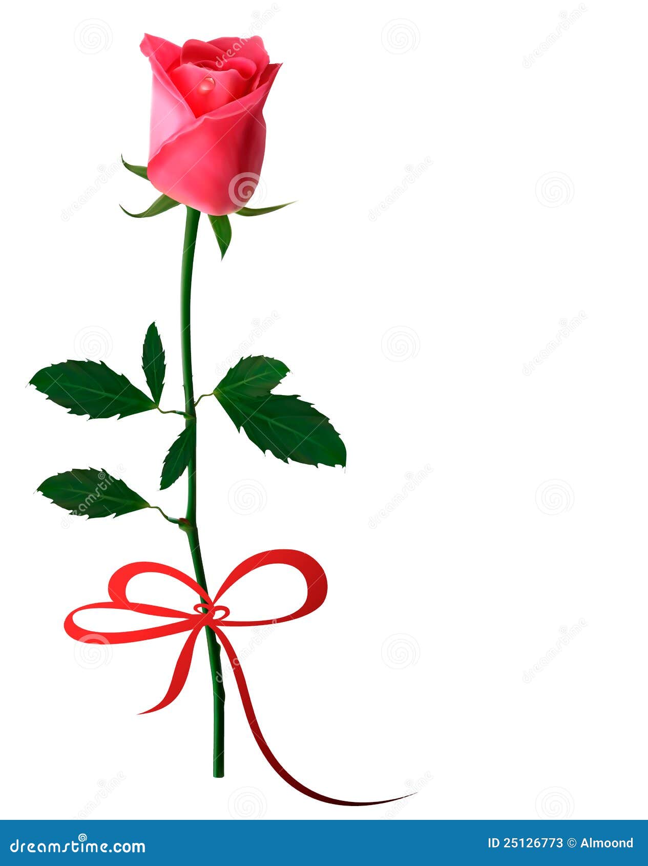 Beautiful Red Rose with a Bow Vector Stock Vector - Illustration of ...