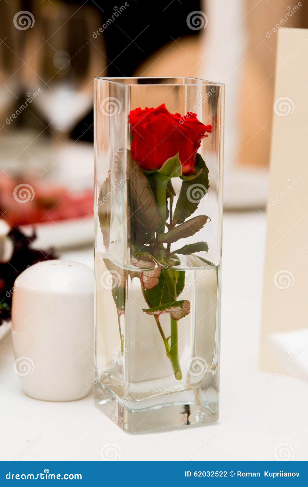 Beautiful Red Rose in a Clear Square Vase Stock Photo - Image of grunge ...