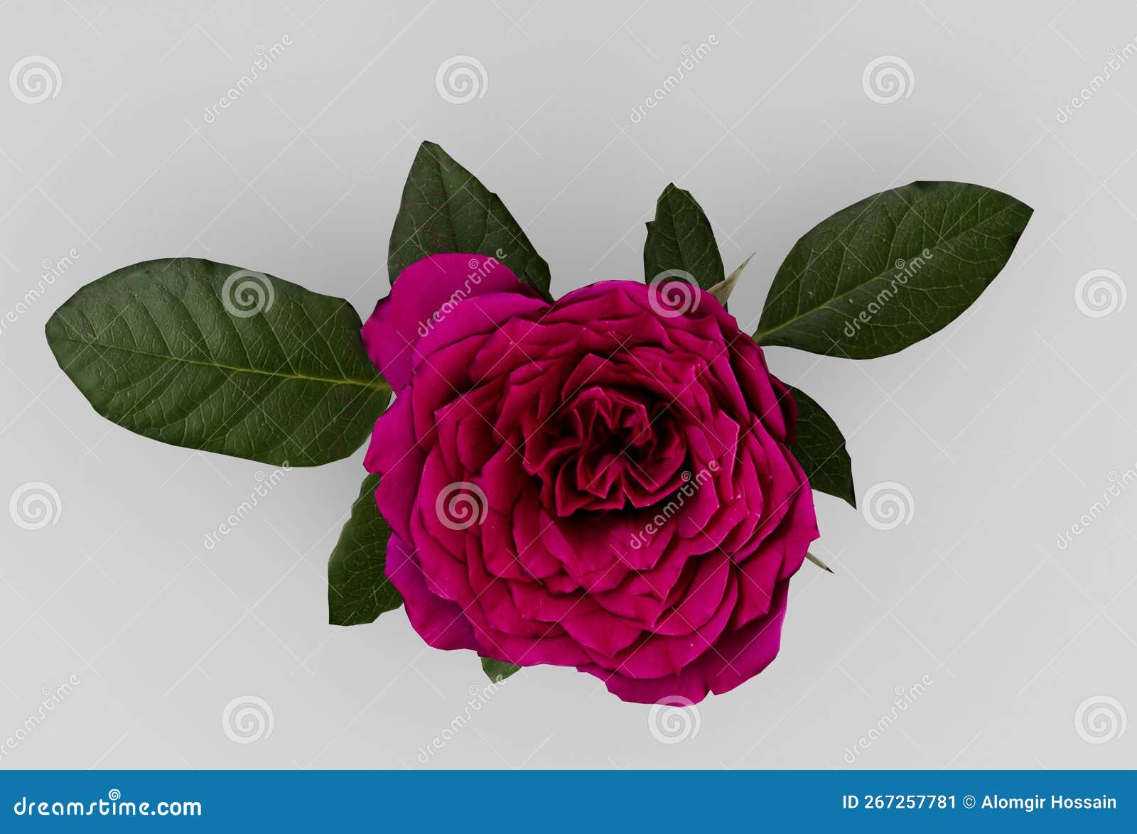Beautiful Red Rose 3d Illustration Minimal 3d Rendering Stock ...