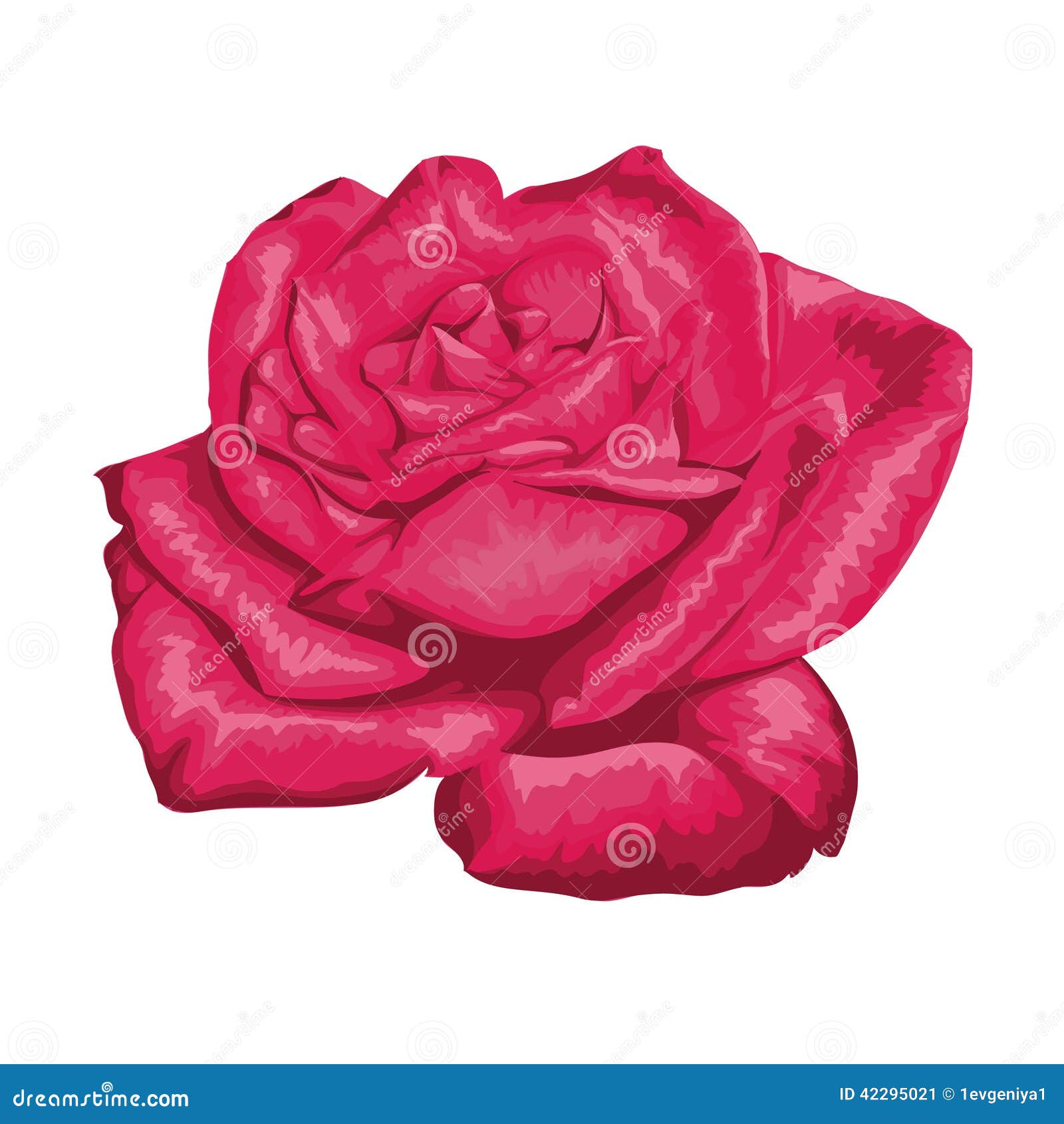 Beautiful Red Rose with the Effect of a Watercolor Drawing Isolated on ...