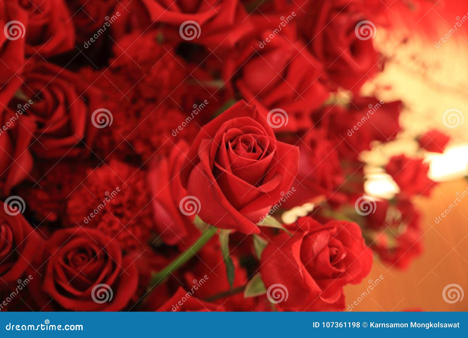 Beautiful Red Rose in Flower Bouquet Stock Photo - Image of dozen ...